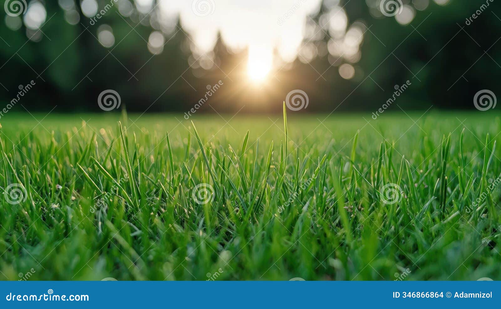 Lush Green Grass Field with Sunlight Stock Illustration - Illustration of garden, pastoral ...