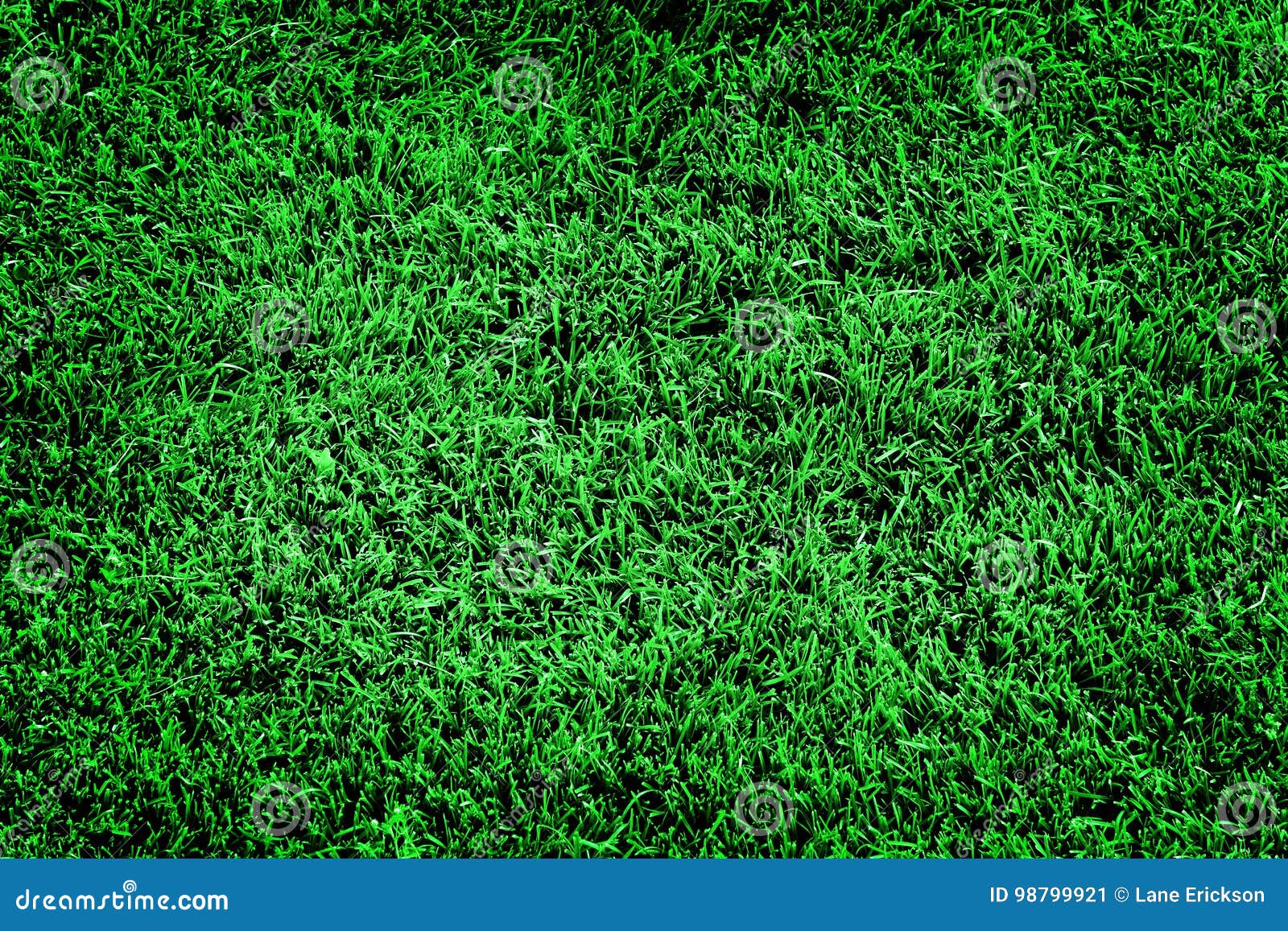 Lush Green Grass Lawn Soft Velvety Stock Image - Image of ground ...