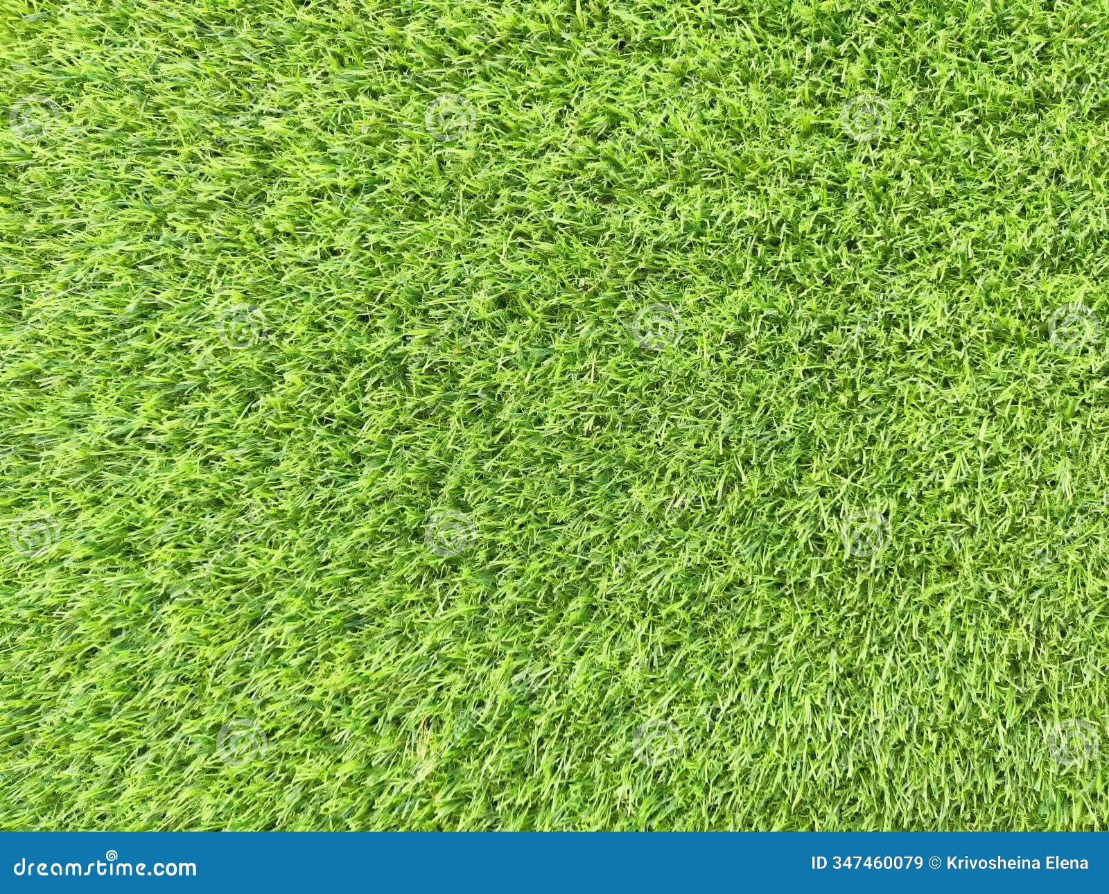 Lush Green Grass Texture Creates Ideal Backdrop for Text Placement and ...
