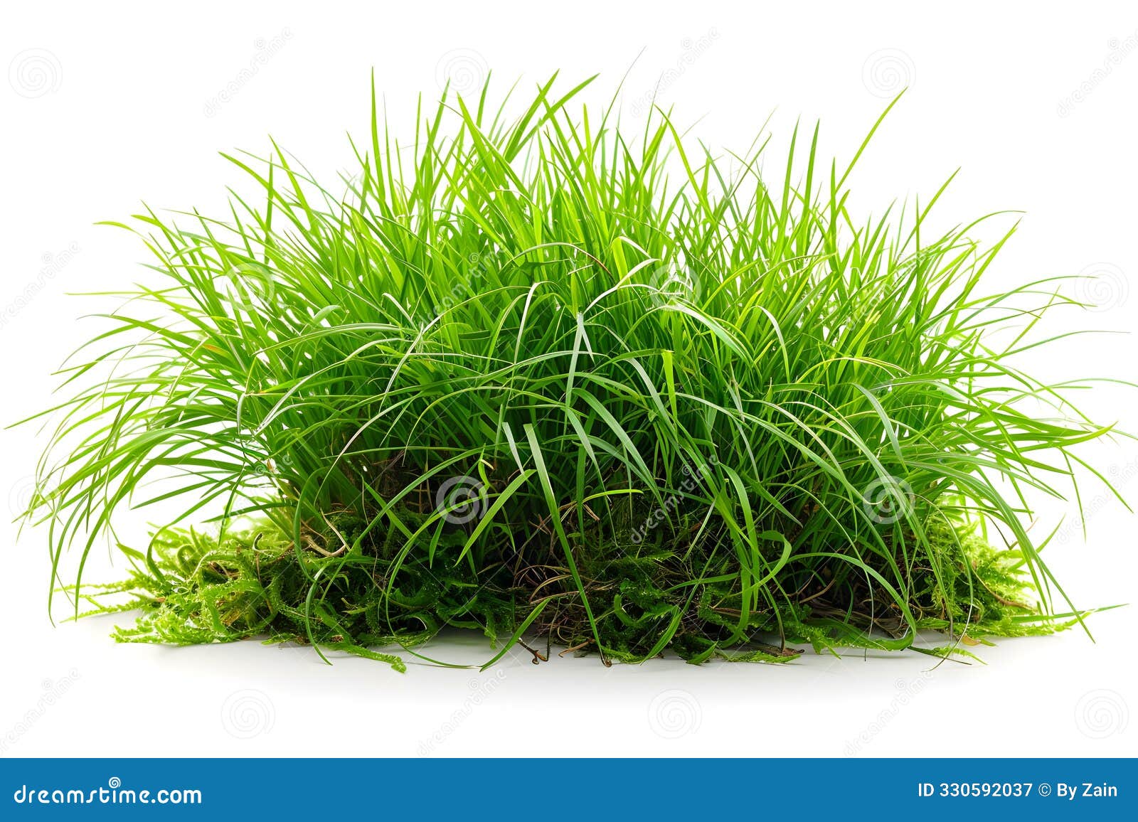 Lush Green Grass Turf Isolated White Background Royalty-Free Stock ...