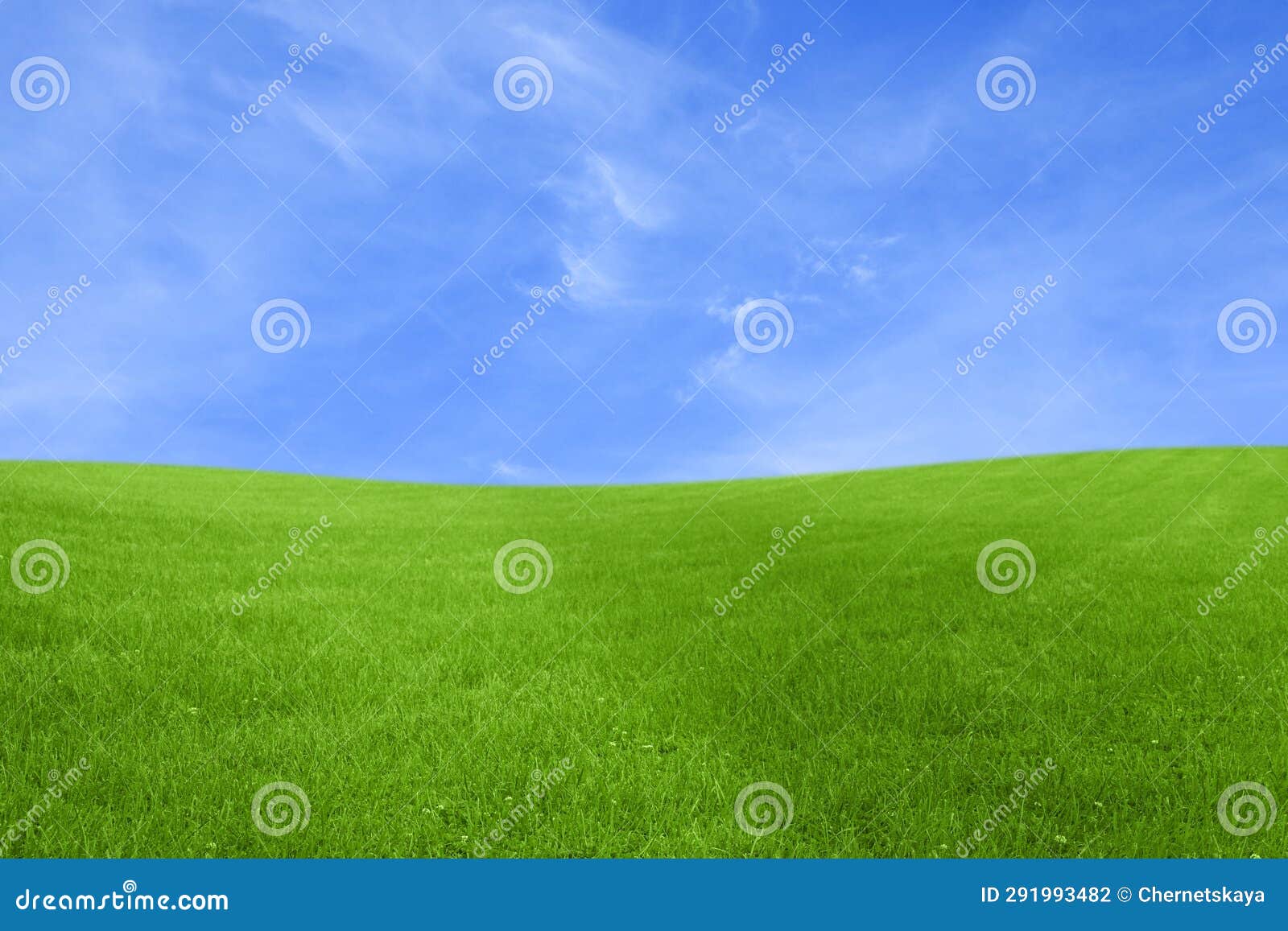 Lush Green Grass Under Bright Blue Sky with Clouds Stock Photo - Image ...