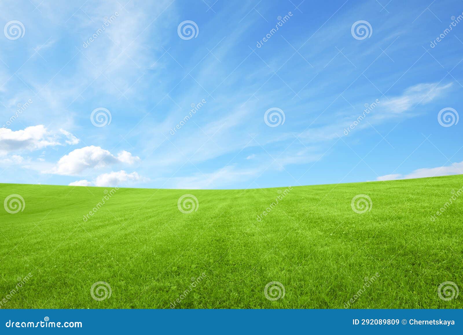 Lush Green Grass Under Bright Blue Sky with Clouds Stock Image - Image ...