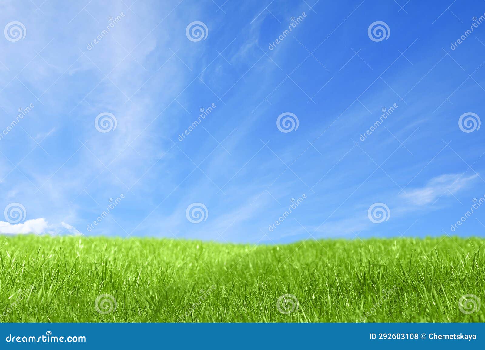 Lush Green Grass Under Bright Blue Sky with Clouds Stock Photo - Image ...