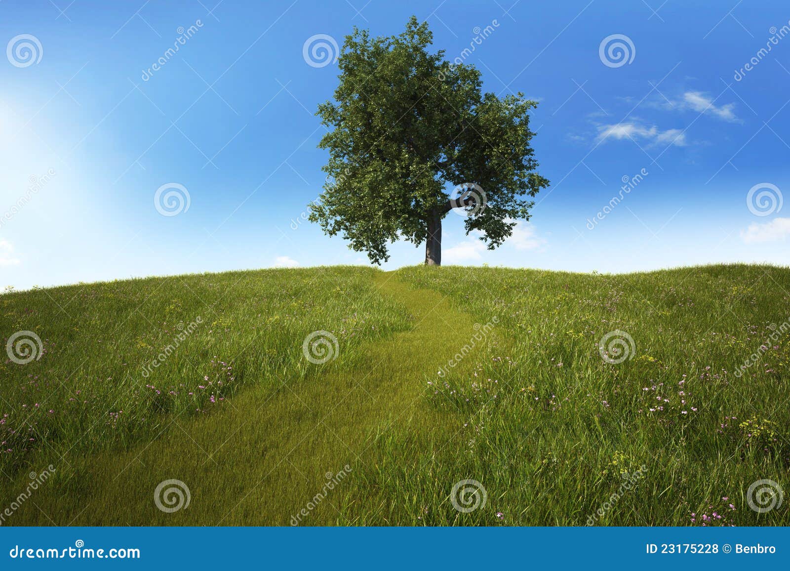 Lush Green Hill with a Huge Oak Tree on Top Stock Photo - Image of ...