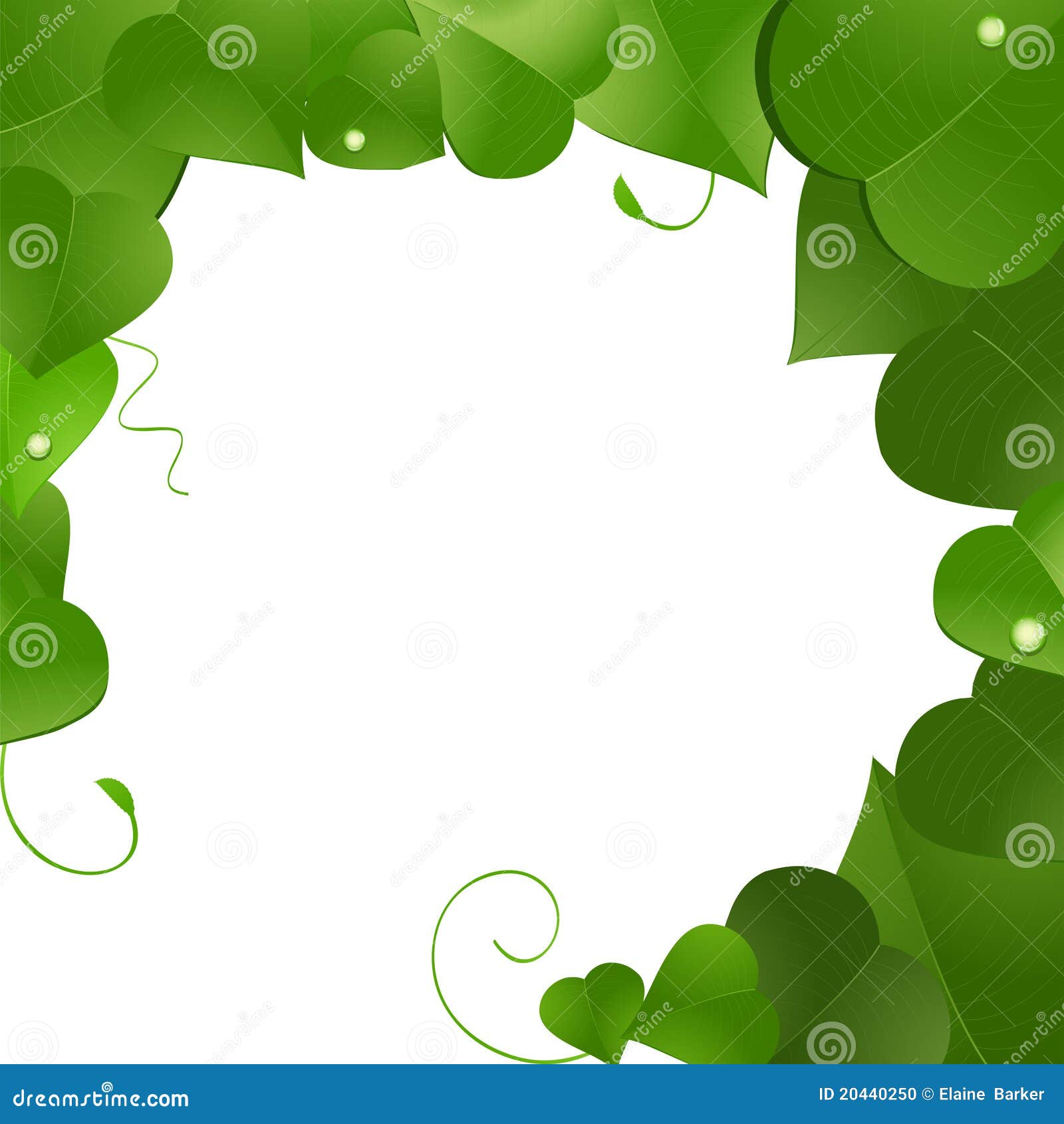 Lush Green Leaf Border Vector Illustration | CartoonDealer.com #20440250