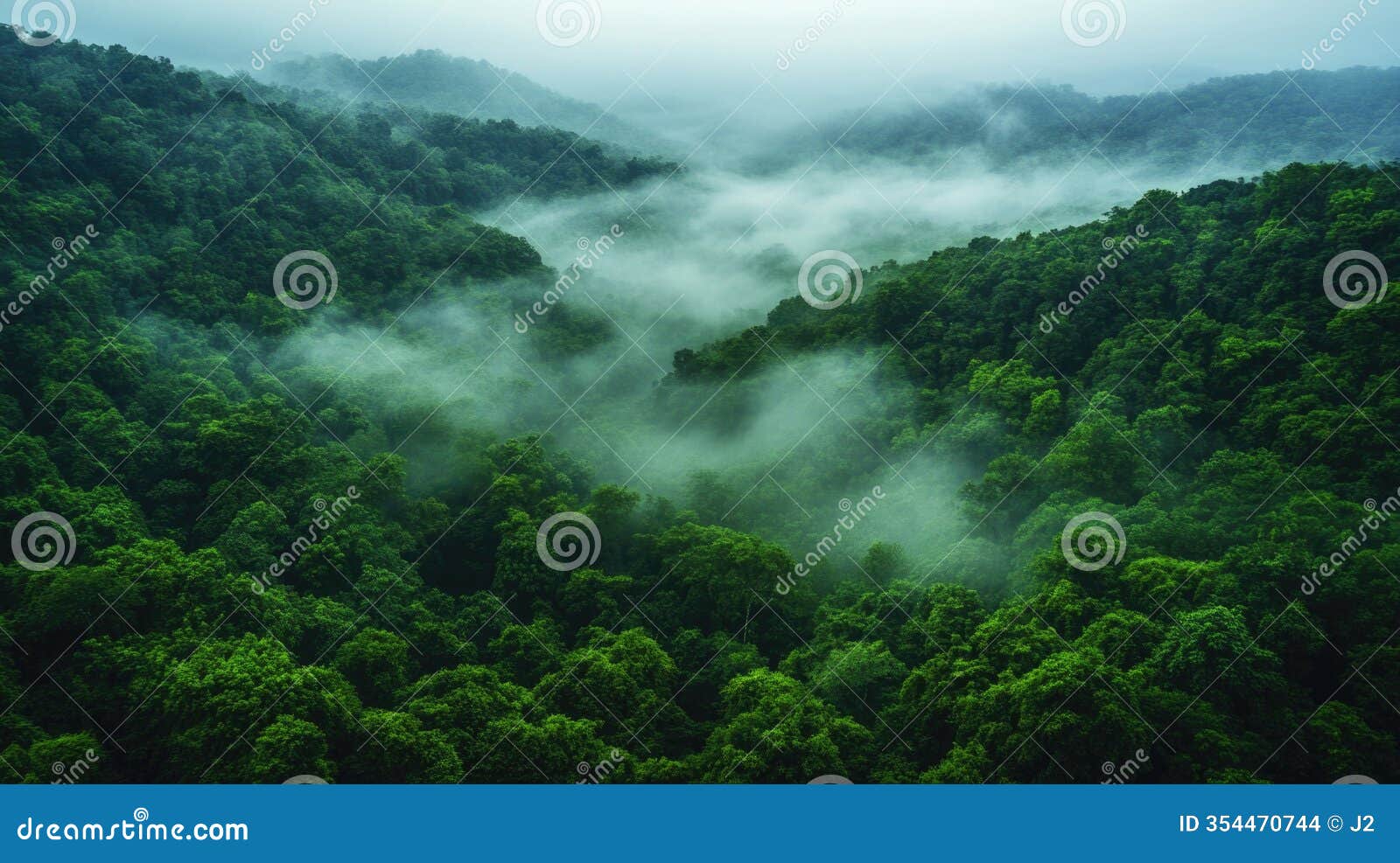 Green Misty Background Majestic Rooster On Rock Stock Photo ...
