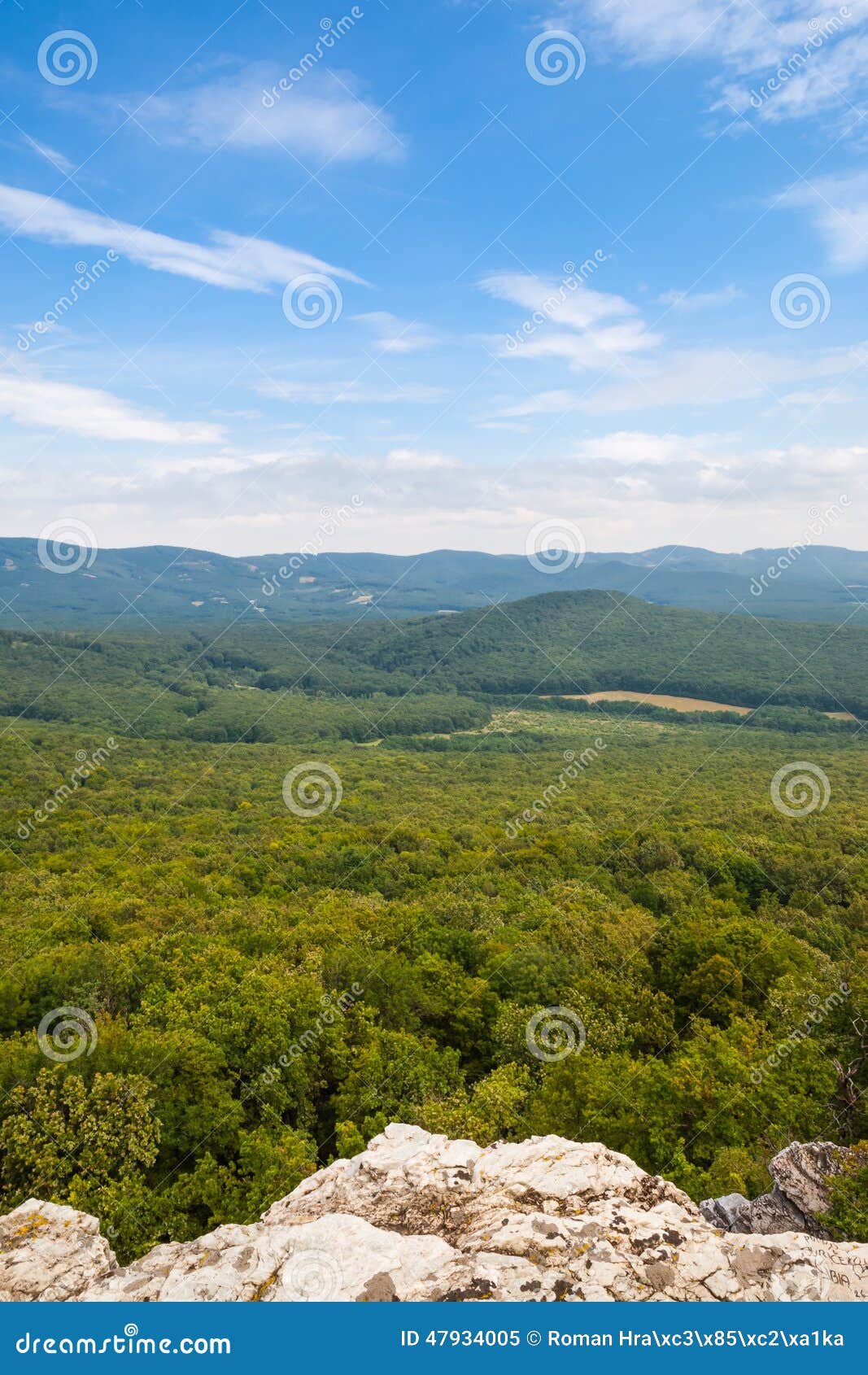 Lush green mixed forest stock image. Image of foliage - 47934005