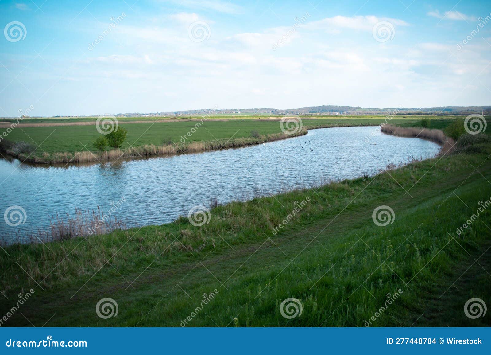 Lush, Green Pasture Featuring Small, Tranquil Water Bodies and Trees in ...