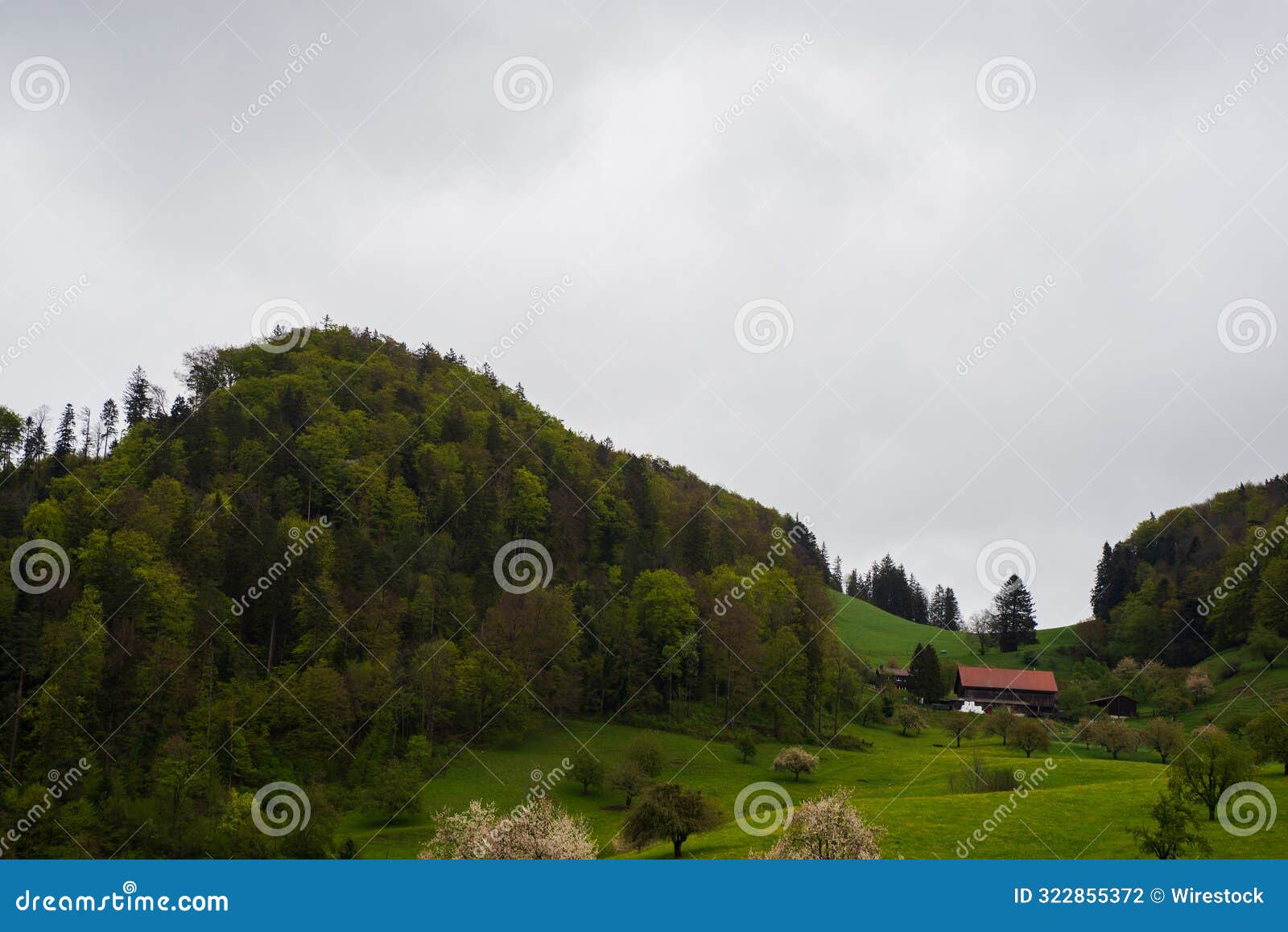 Lush Green Pasture with with a Hill Covered in Trees Stock Photo ...