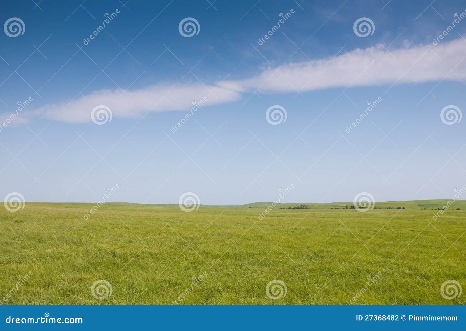 Lush Green Spring Grass in Prairie Pasture Stock Photo - Image of blue ...