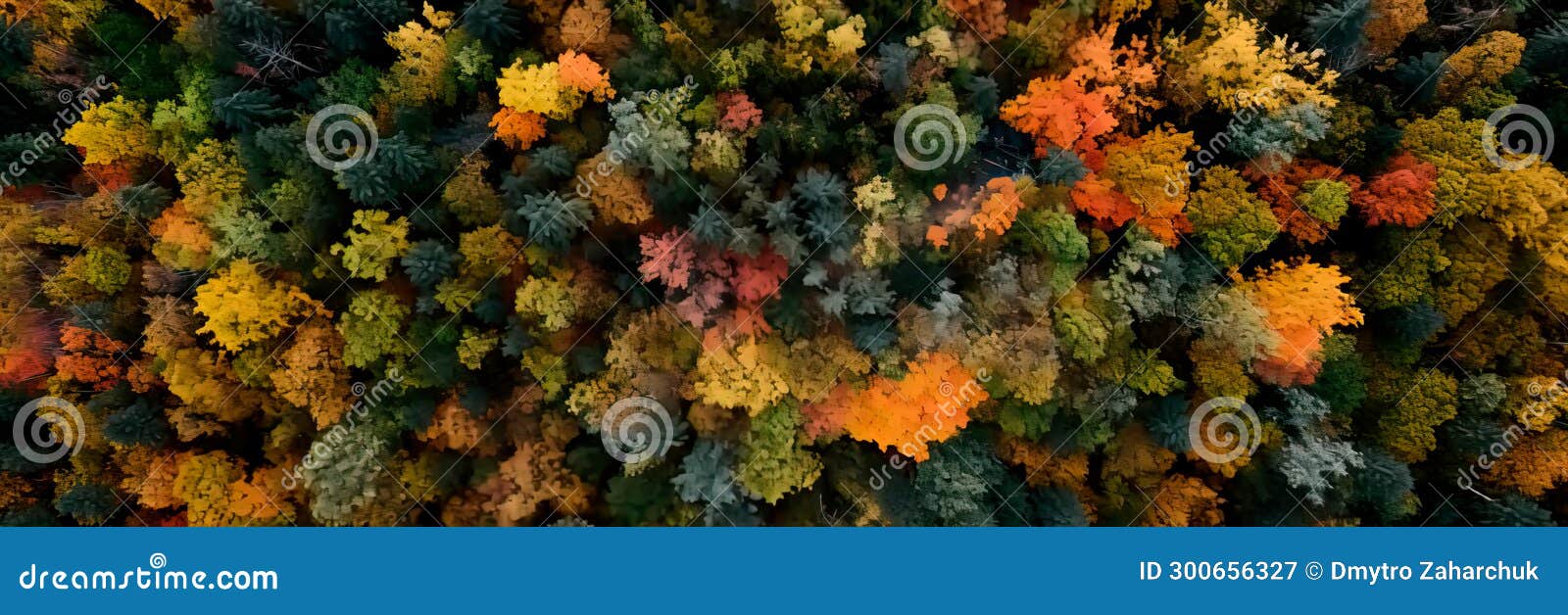 The Lush and Intricate Texture of a Forest Canopy Formed by Trees and ...