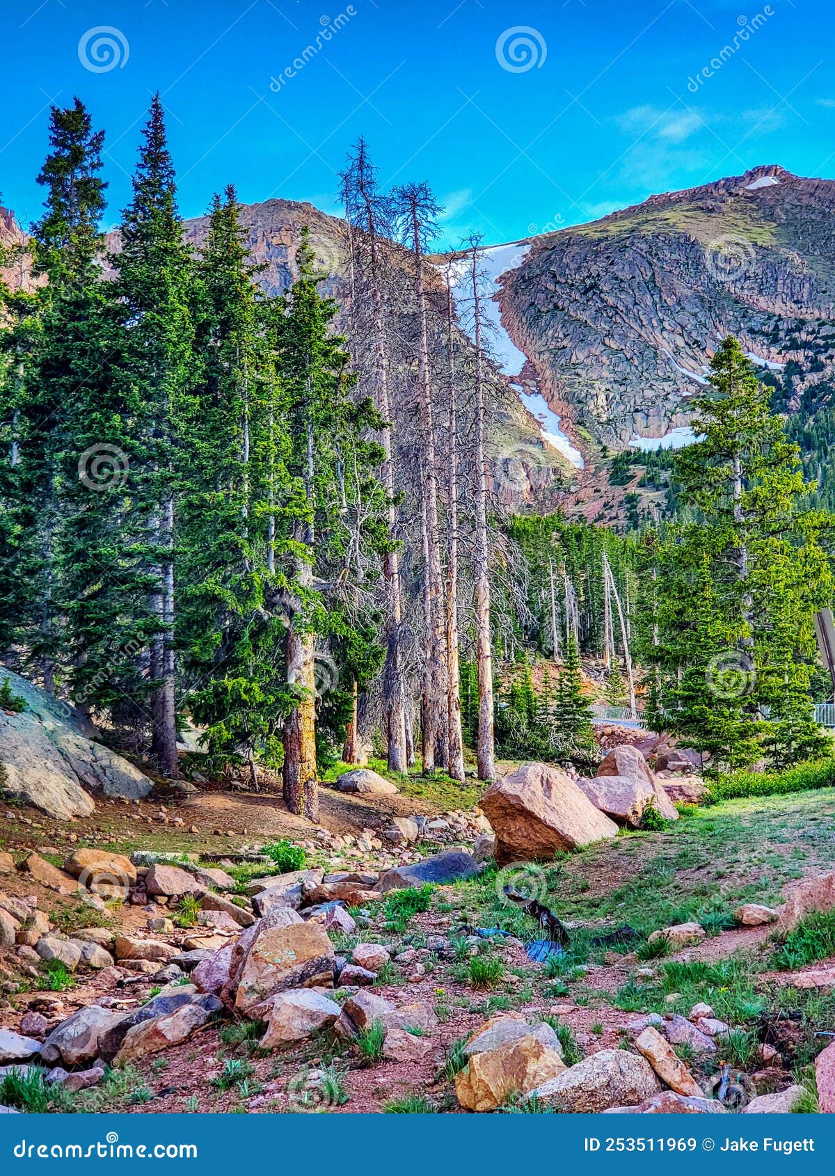 Lush Mountain Path with a Stream and Trees Stock Image - Image of ...