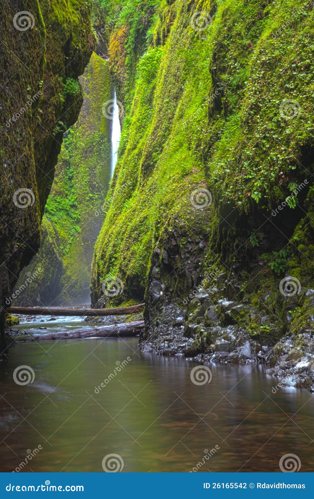 Lush Narrow Canyon Waterfall Stock Photo - Image of forest, life: 26165542