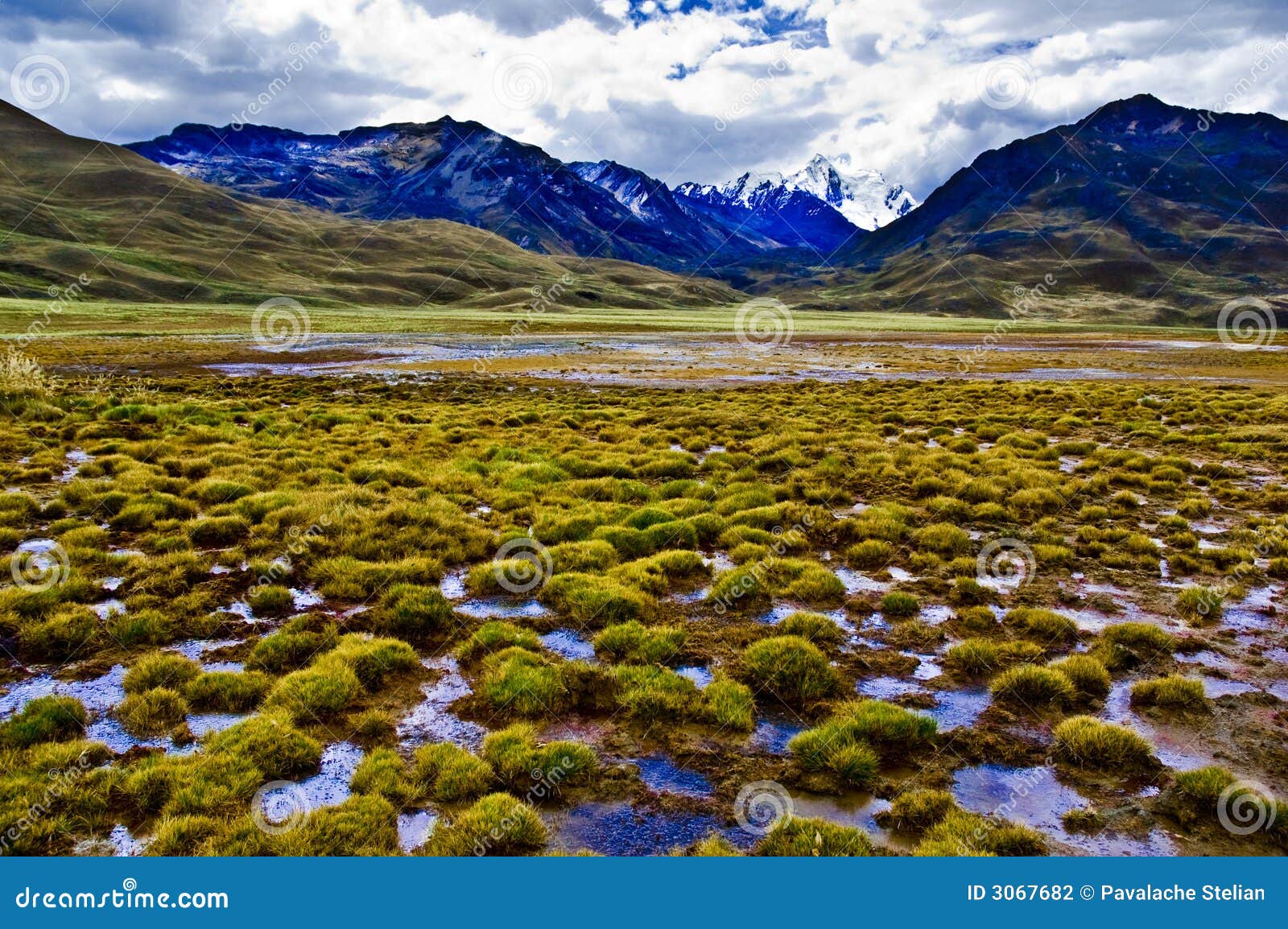 Lush natural landscape stock photo. Image of range, uninhabited - 3067682