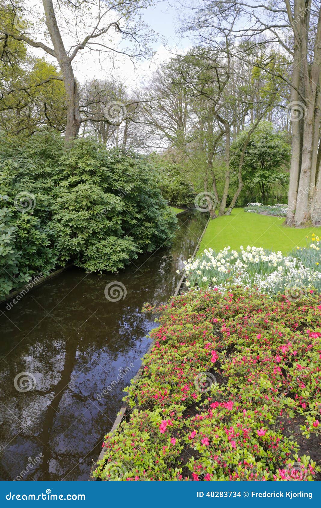 Lush park stock photo. Image of waterdrops, reflection - 40283734