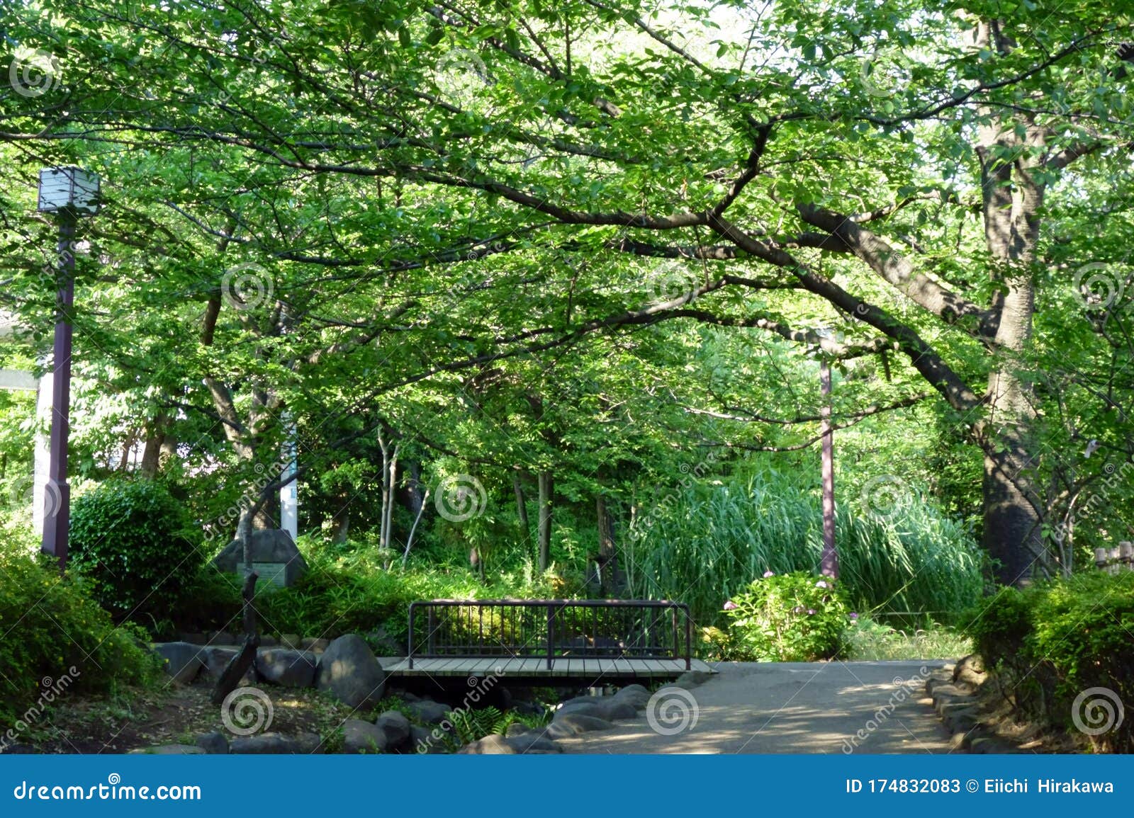 Promenade with Deep Windows and Greenery Stock Image - Image of nature ...