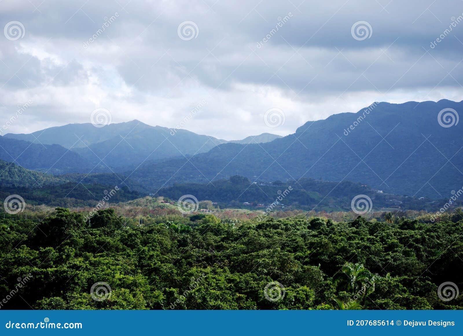 Lush Rain Forest and Mountains in Puerto Rico Stock Photo - Image of ...