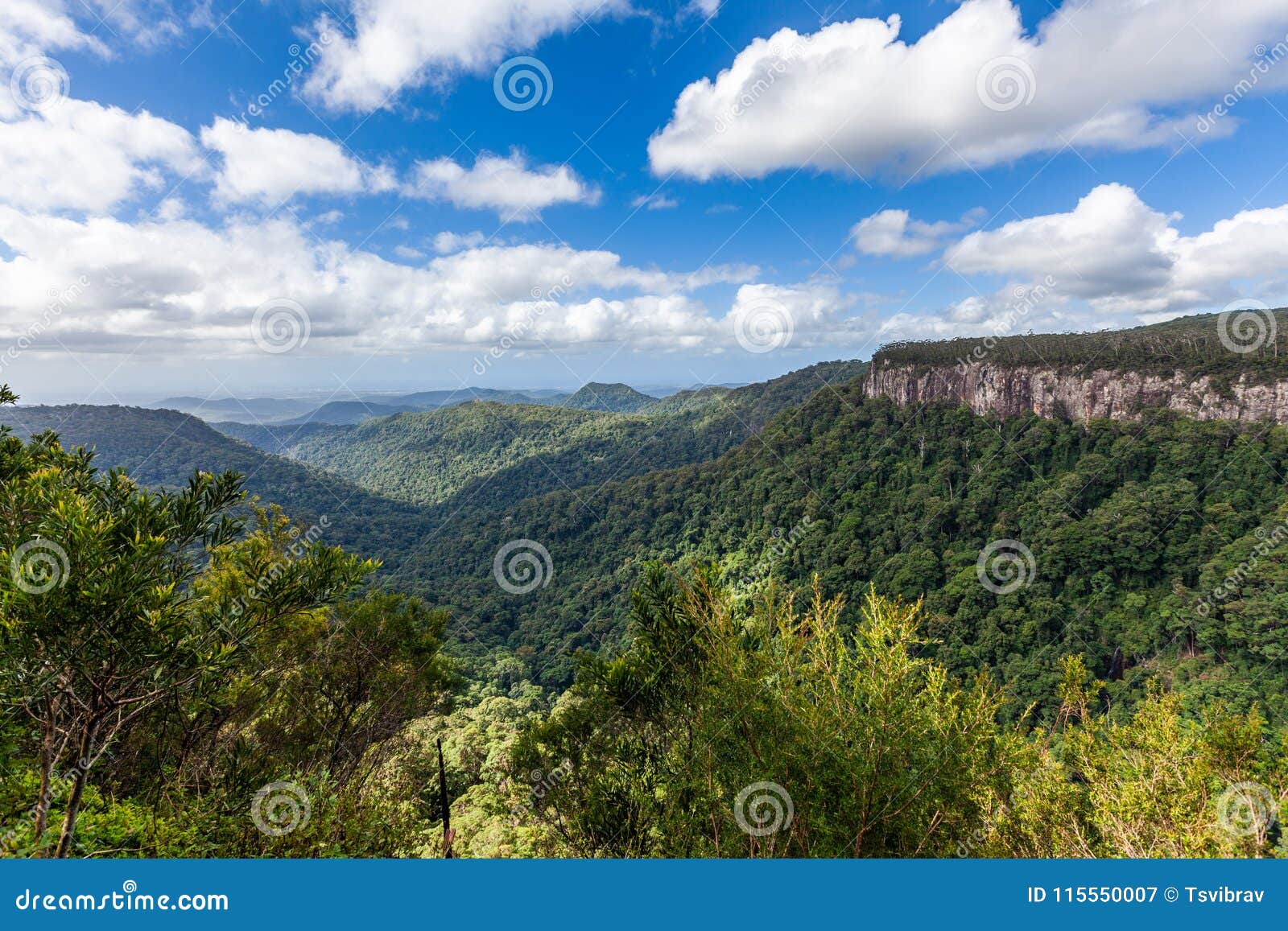 Lush Rainforest and Rugged Cliffs. Stock Image - Image of park, clouds ...