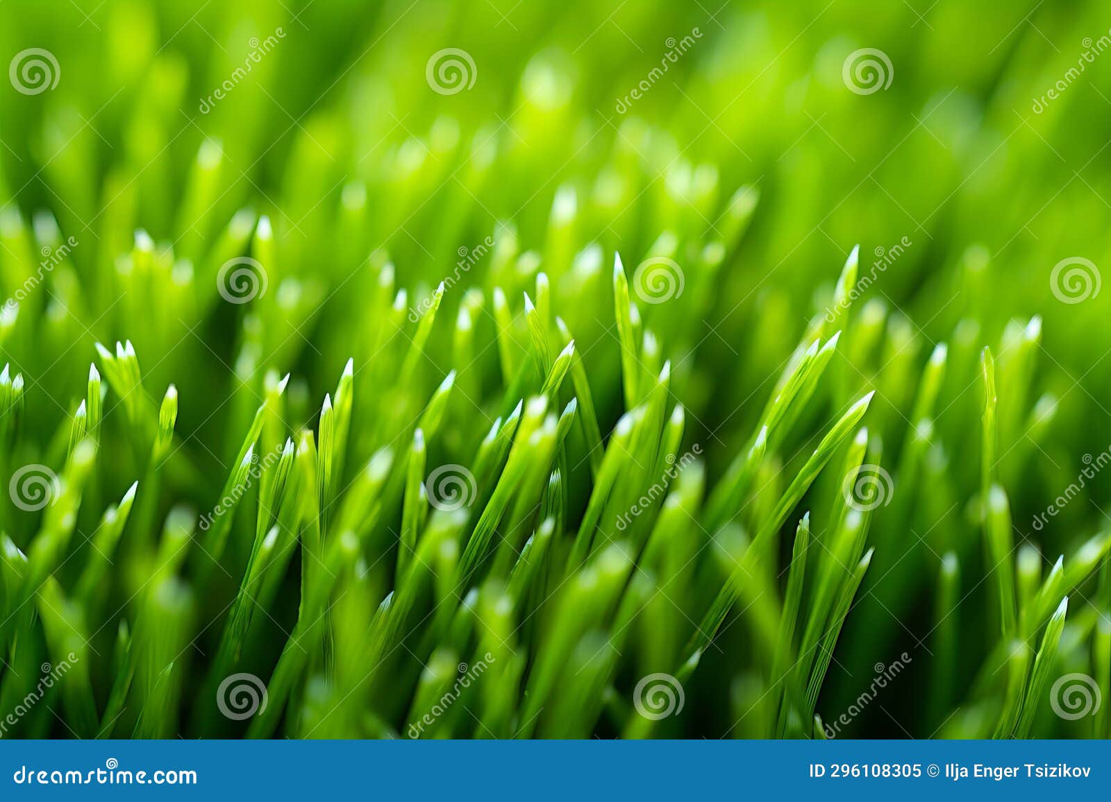 Lush and Realistic Artificial Grass Texture Background for Landscaping ...