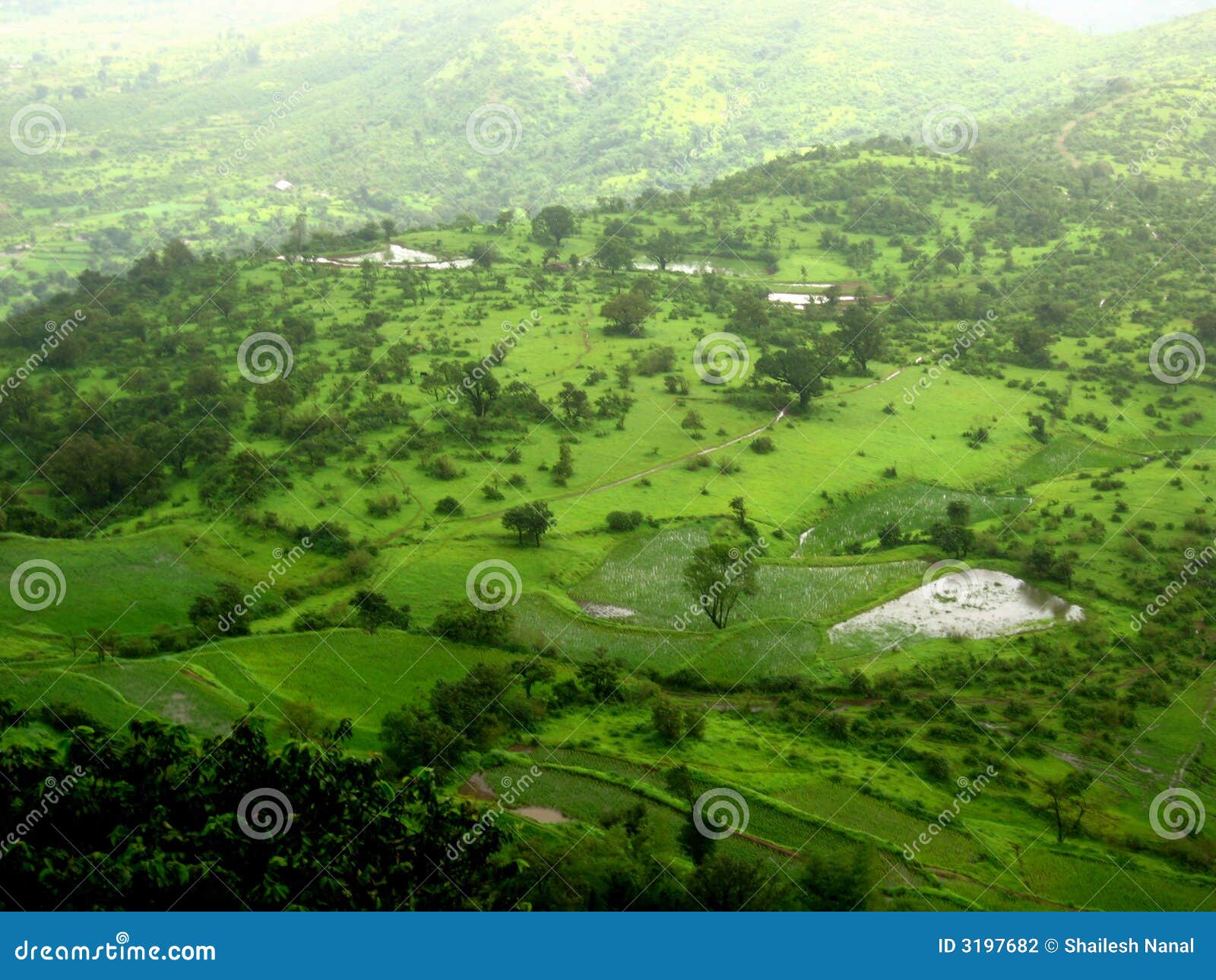 Lush scenic landscape stock photo. Image of overlook, fields - 3197682