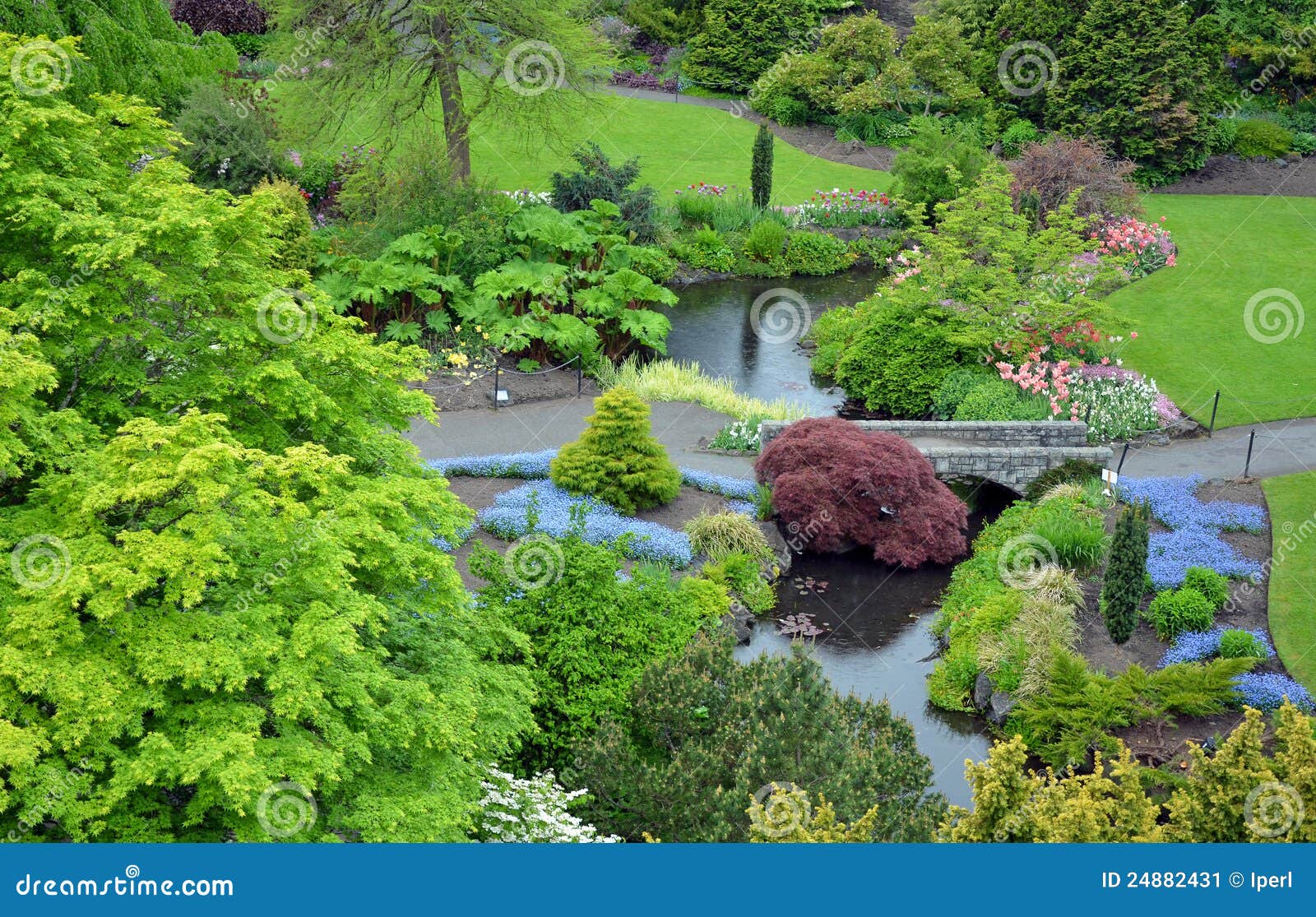 Lush spring garden stock image. Image of pathway, plants - 24882431