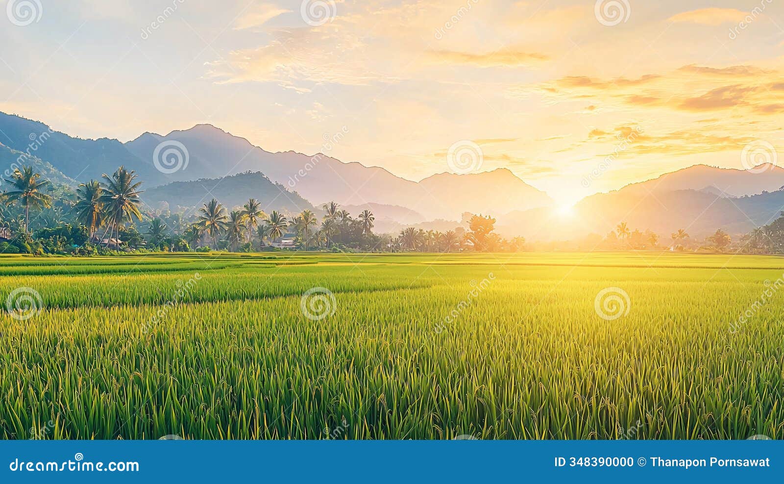 Serene Sunrise Over Lush Rice Paddy Fields and Mountains AI Generated ...