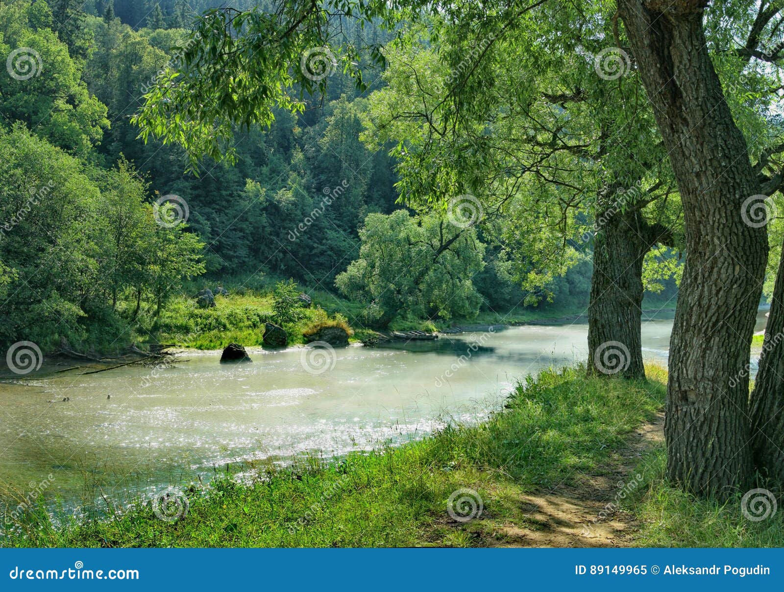 Lush Trees on the Bank of a Shallow River Stock Image - Image of leaves ...