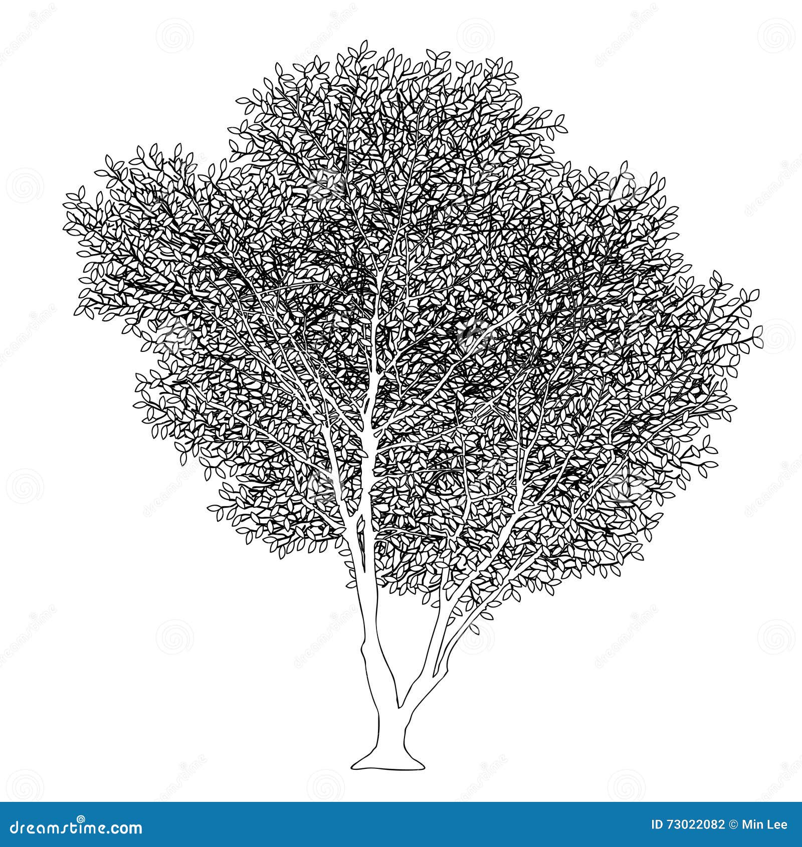 Lush trees stock vector. Illustration of trees, sketch - 73022082