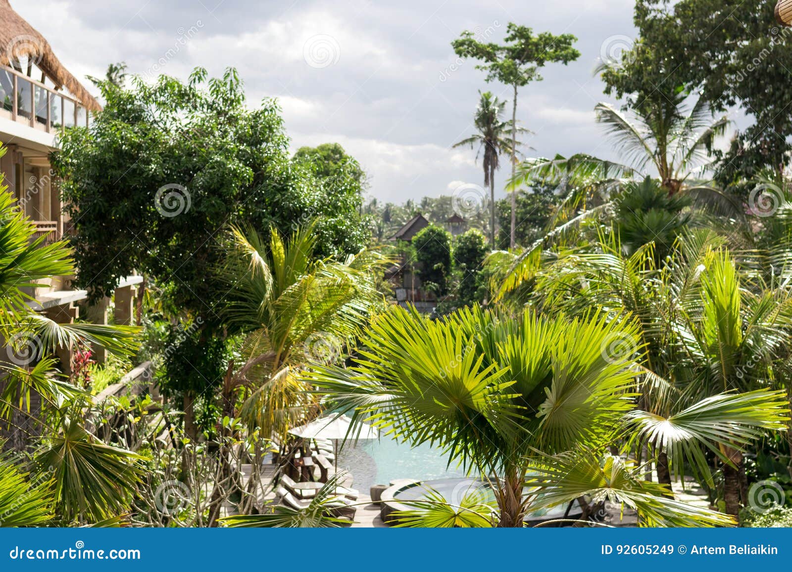 Lush Tropical Garden with Assorted Colorful Flowers and Plants. Bali ... Lush Tropical Garden with Assorted Colorful Flowers and Plants. Bali ...