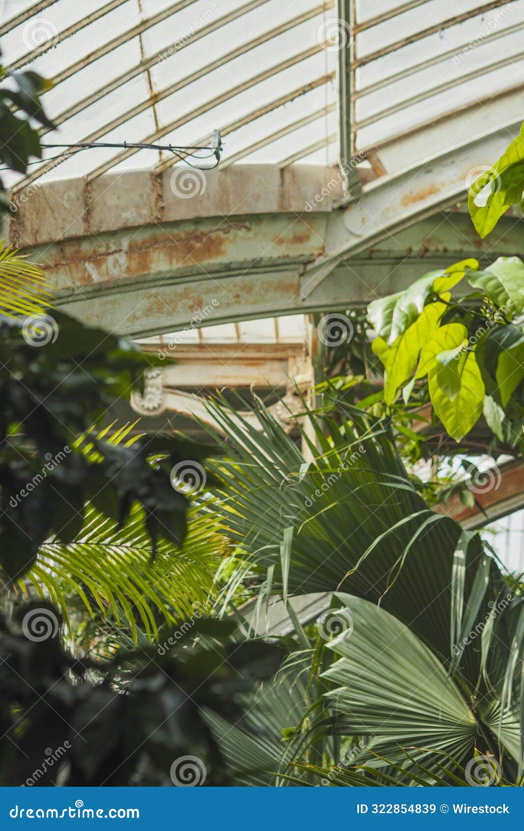 Lush Tropical Garden with Metal Rustic Railings Ceiling Stock Image ...
