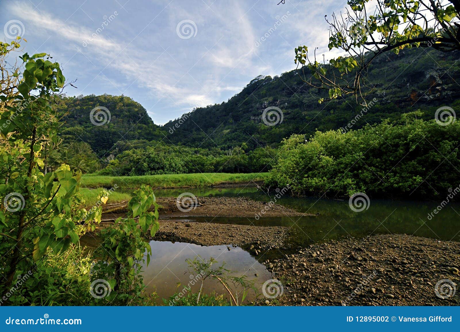 Lush Tropical River and Mountains Stock Photo - Image of background ...
