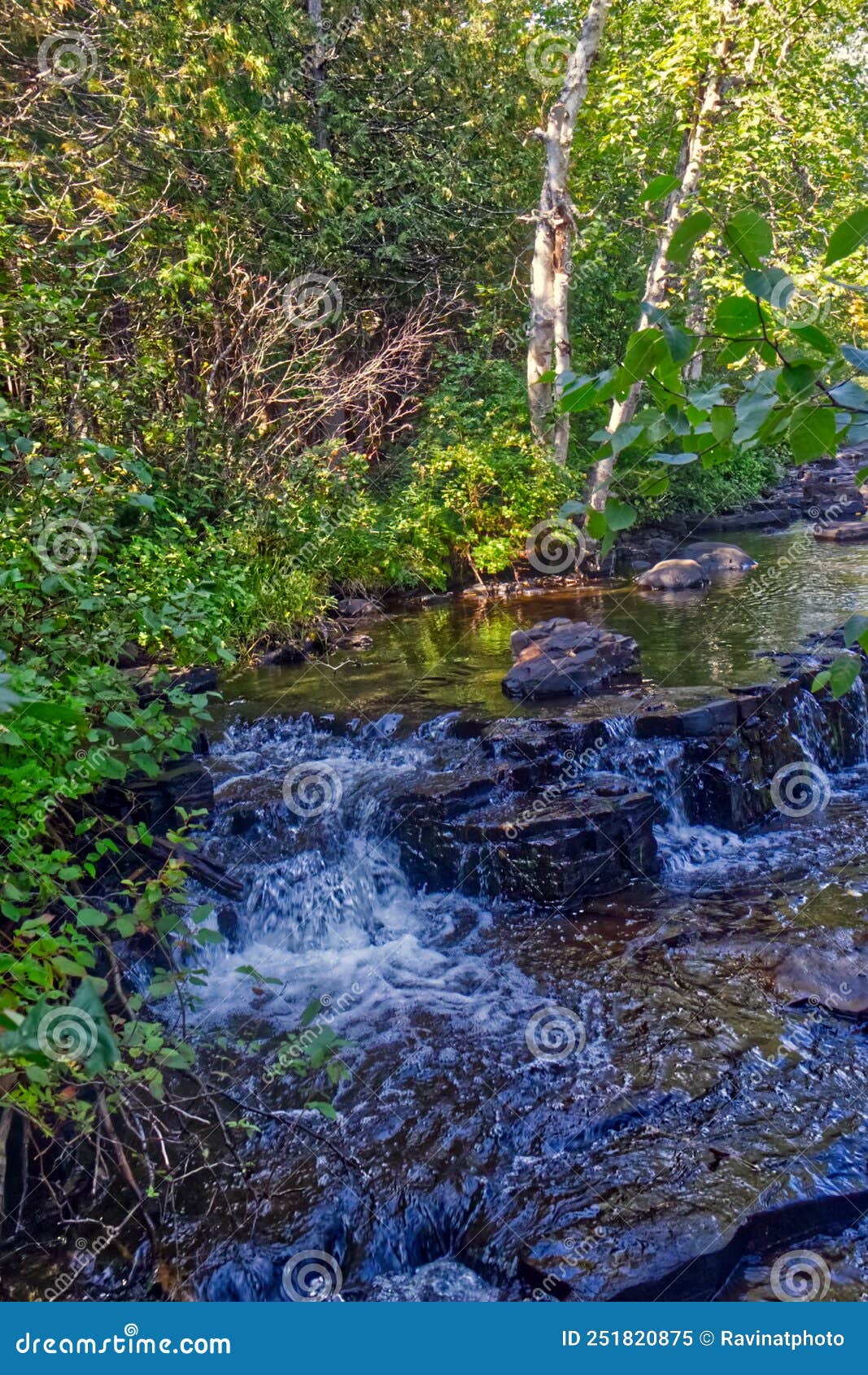 Lush Vegetation by the Riverside - Trowbridge Falls, Thunder Bay, on ...