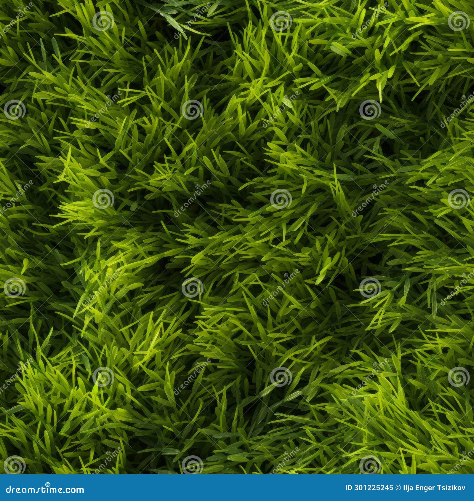 Lush and Vibrant Seamless Top View Grass Pattern for Captivating and ...