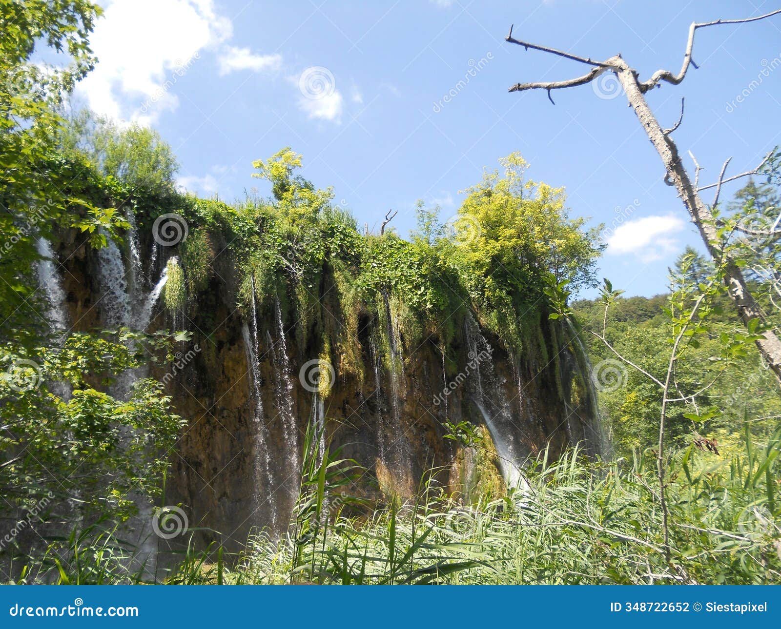 Lush Waterfalls on a Cliffside Stock Photo - Image of adventure ...