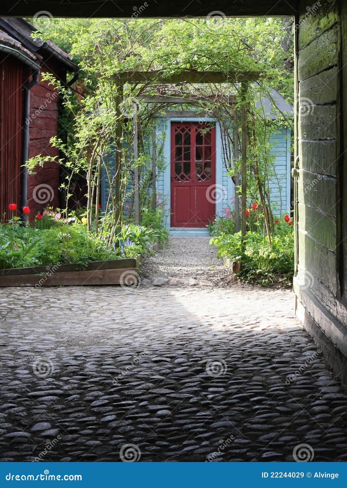 Lush Yard Front stock image. Image of footpath, dream - 22244029