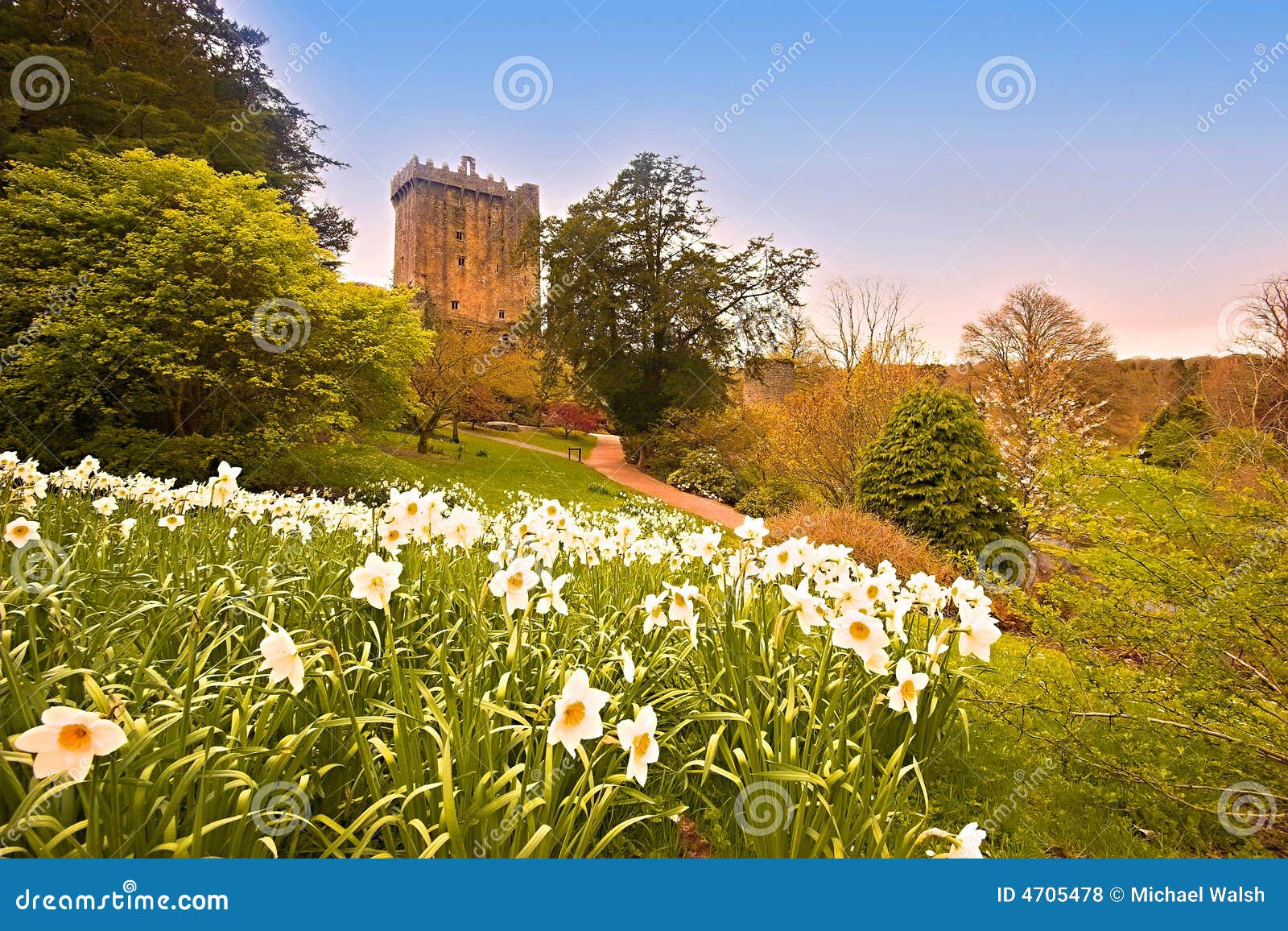 Lusinga fotografia stock. Immagine di celtico, turista - 4705478