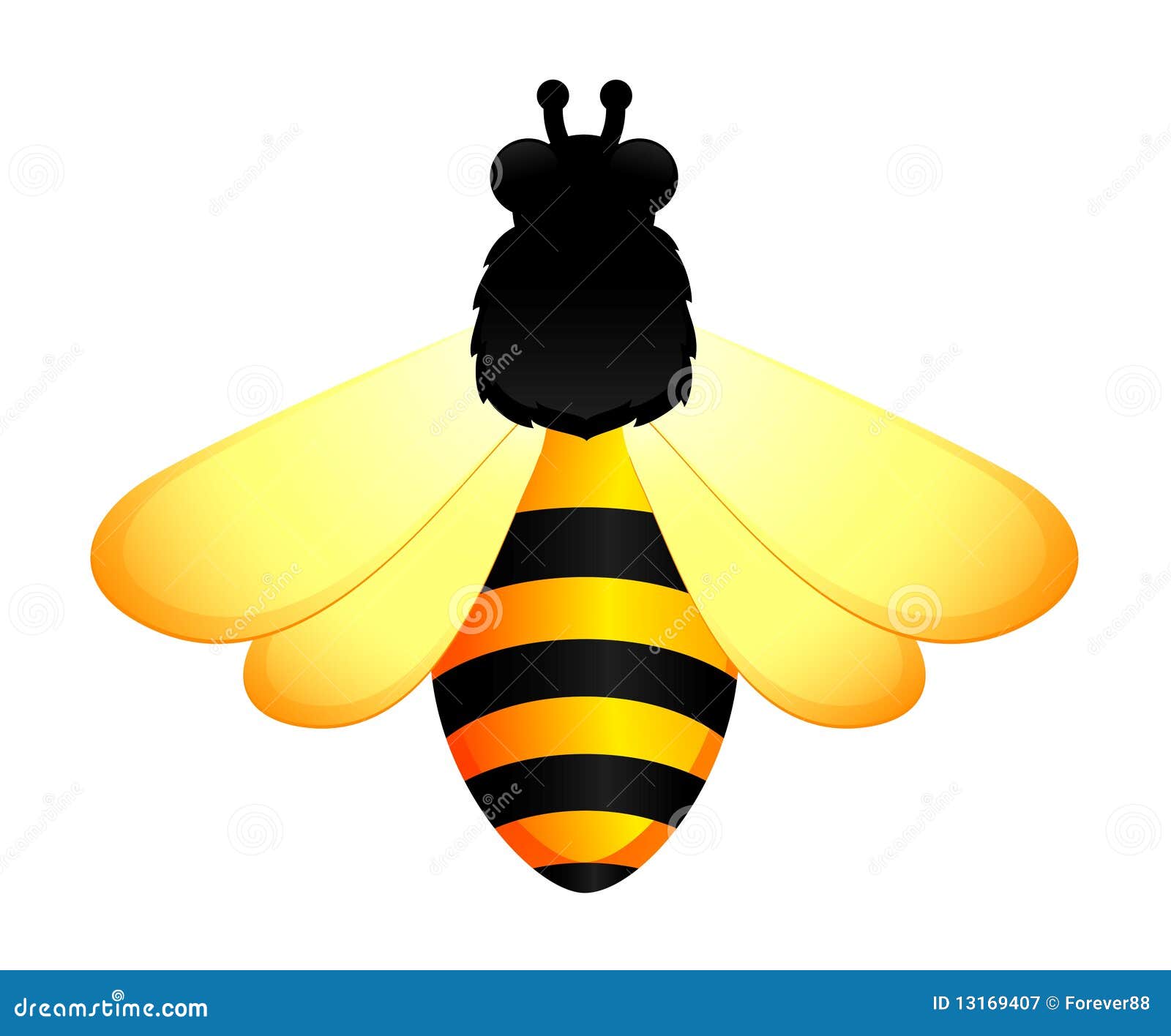 Lustige Biene Auf Weißem Hintergrund Vektor Abbildung - Illustration ...