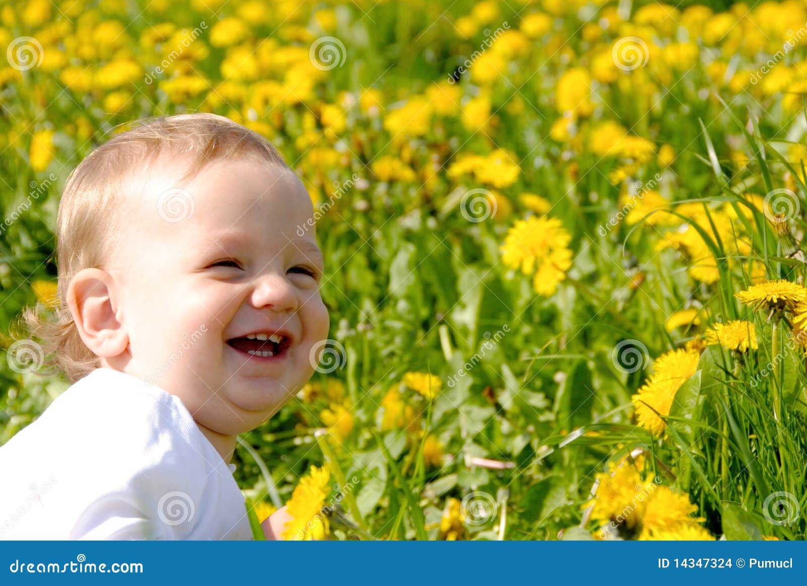 Lustiges Lachendes Kleinkind-Portrait Stockfoto - Bild von kind ...