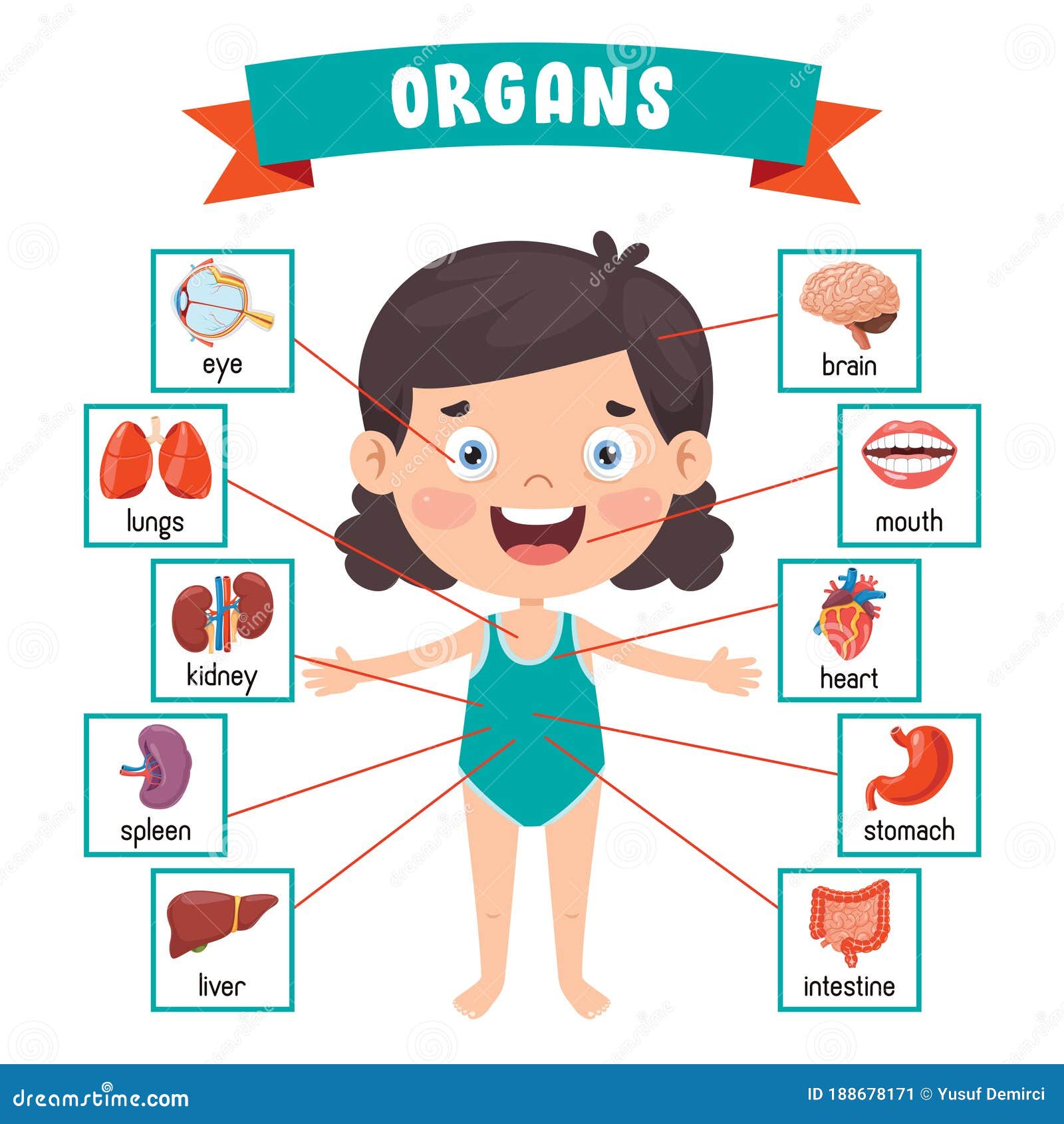 Lustigt Barn Som Visar Kroppsdelar Vektor Illustrationer - Illustration ...