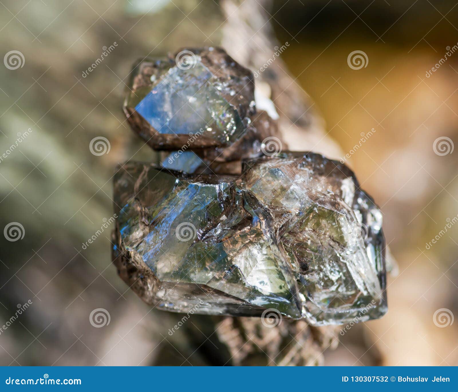 Lustrous Gem Quality Smoky Elestial Quartz from Brazil on a Tree Bark ... Lustrous Gem Quality Smoky Elestial Quartz from Brazil on a Tree Bark ...