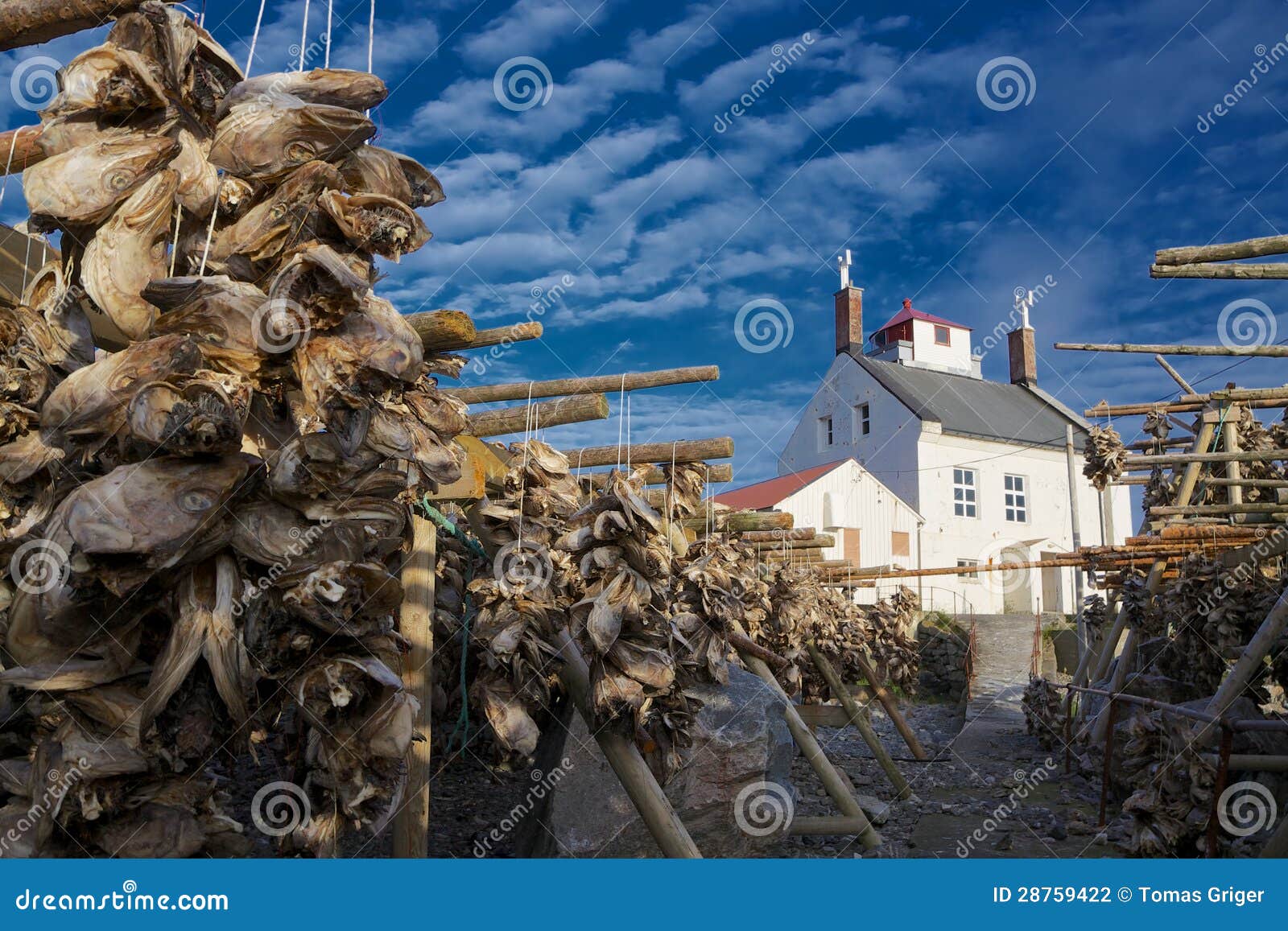 Lutfisk arkivfoto. Bild av huvud, torka, bygger, utomhus - 28759422
