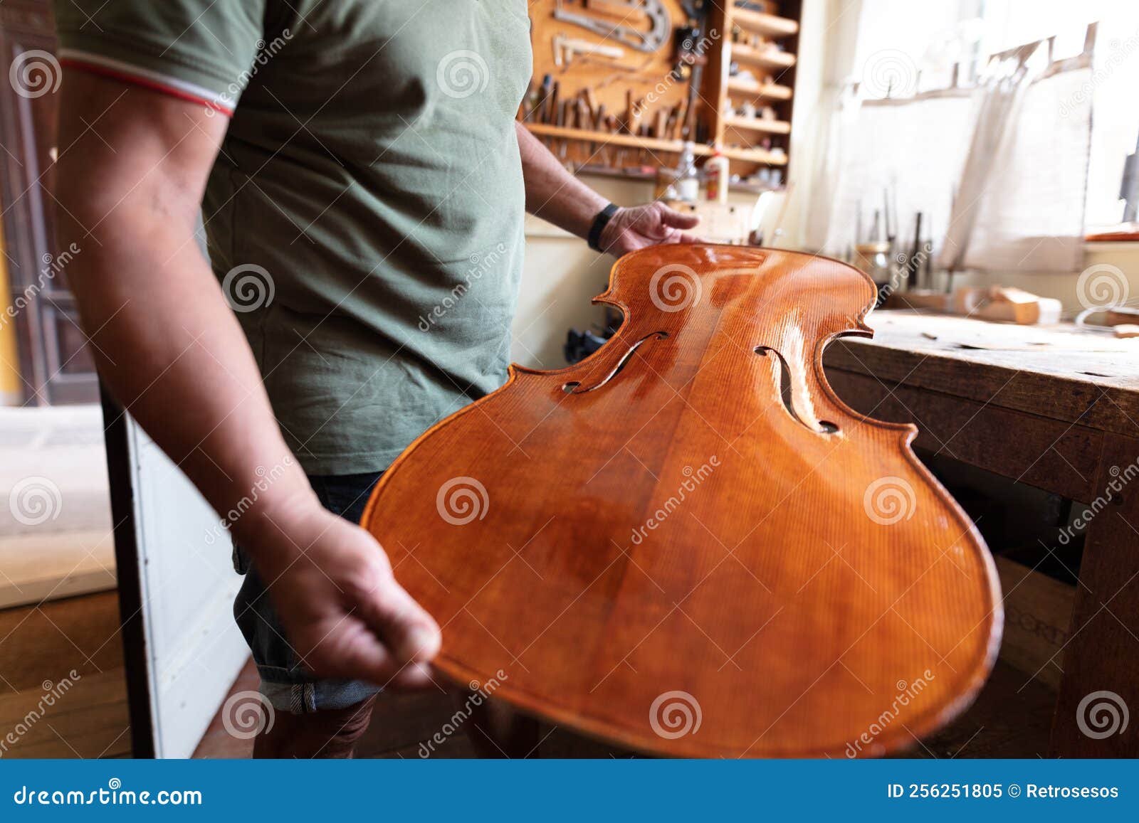 Luthier Attacching the Front Tables To the Ribs of a Cello in Workshop ...