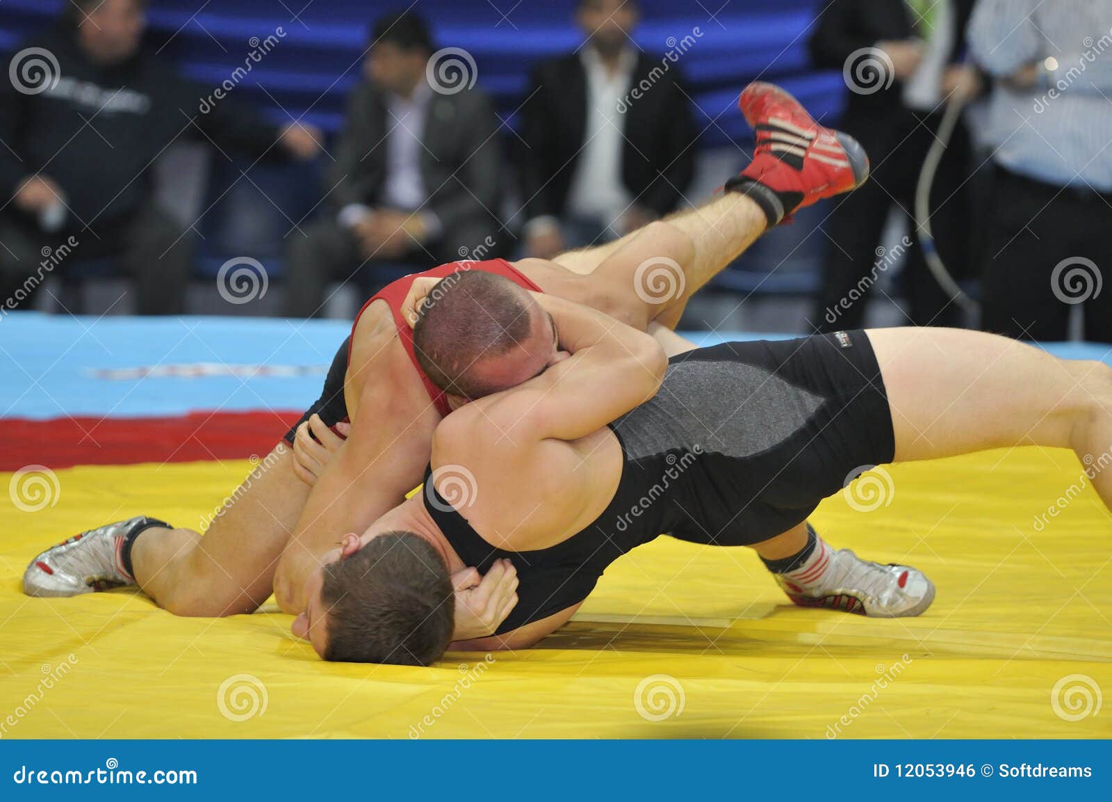 Lutte photo éditorial. Image du homme, cuvette, champion - 12053946