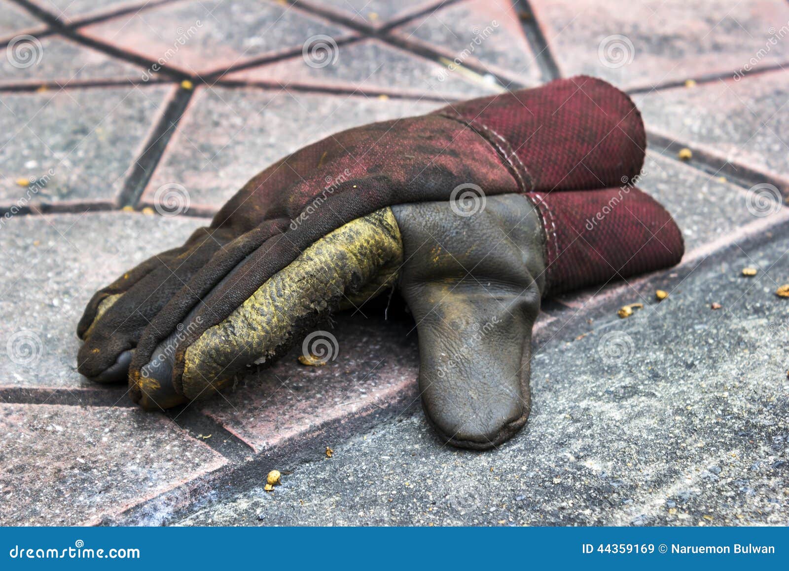 Luva Rasgada Velha Na Terra Imagem de Stock - Imagem de vida, fundo ...