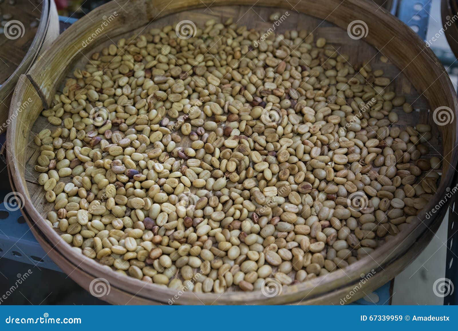 Luwak Coffee - Special Expensive Balinese Coffee Made From Sacred ...