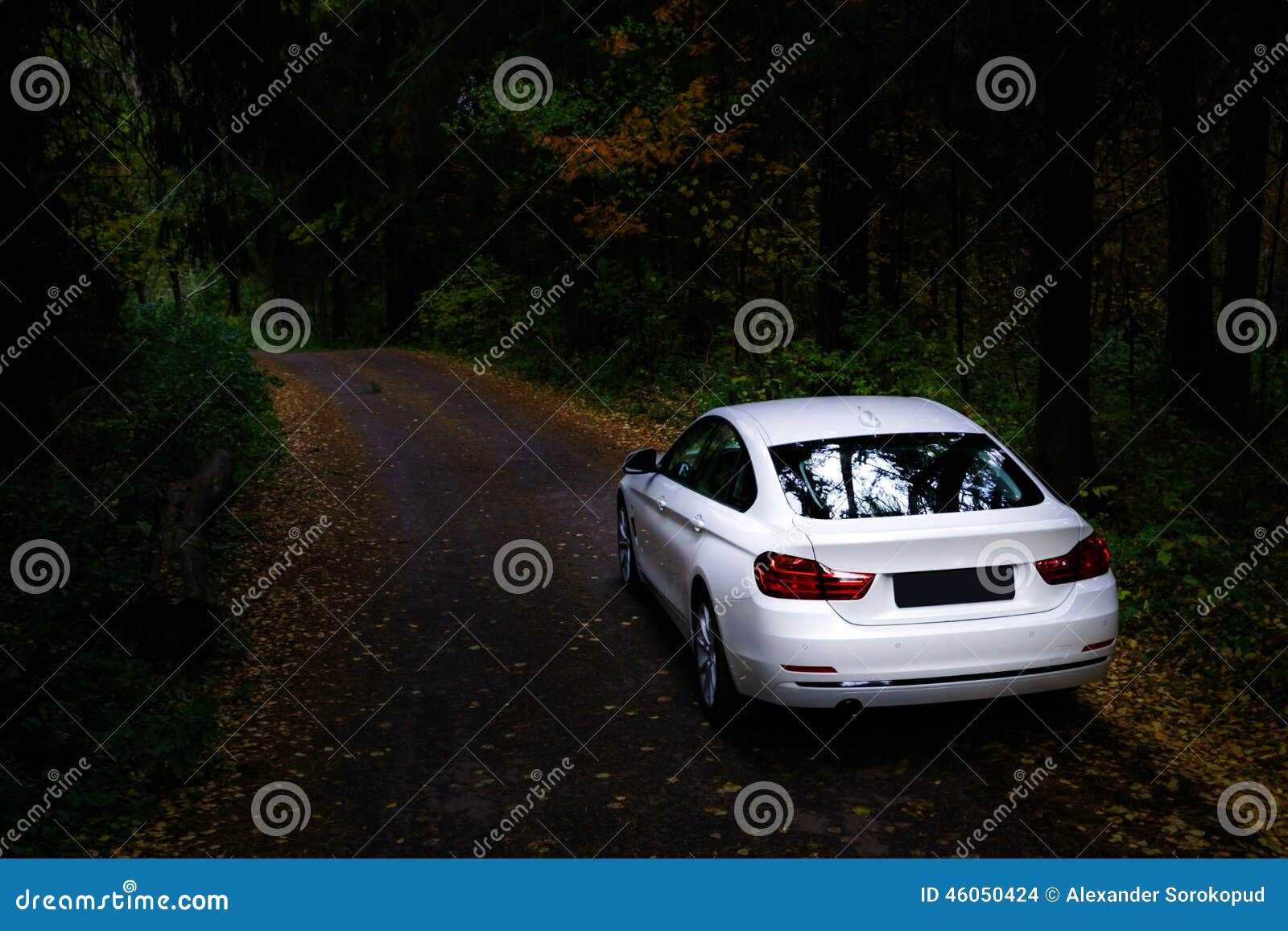 Luxe Witte Auto in Het Donkere Bos Stock Foto - Image of licht ...