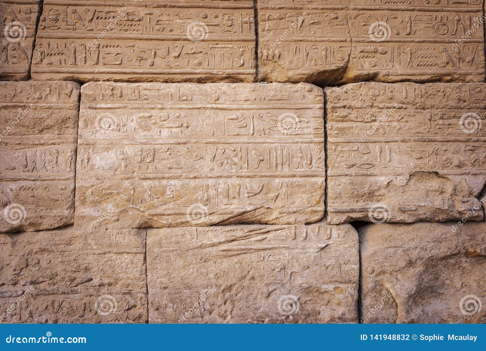 Luxor temple carvings stock photo. Image of pharaoh - 141948832 Luxor temple carvings stock photo. Image of pharaoh - 141948832