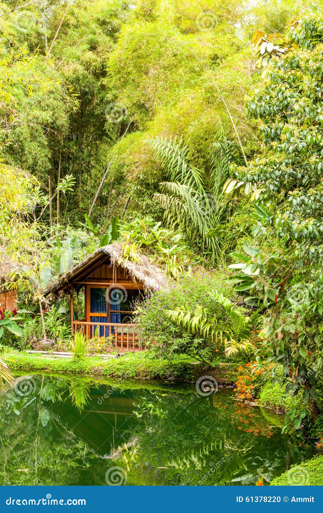 Luxurious Exotic Hut in Amazon Basin Ecuador Stock Photo - Image of ...