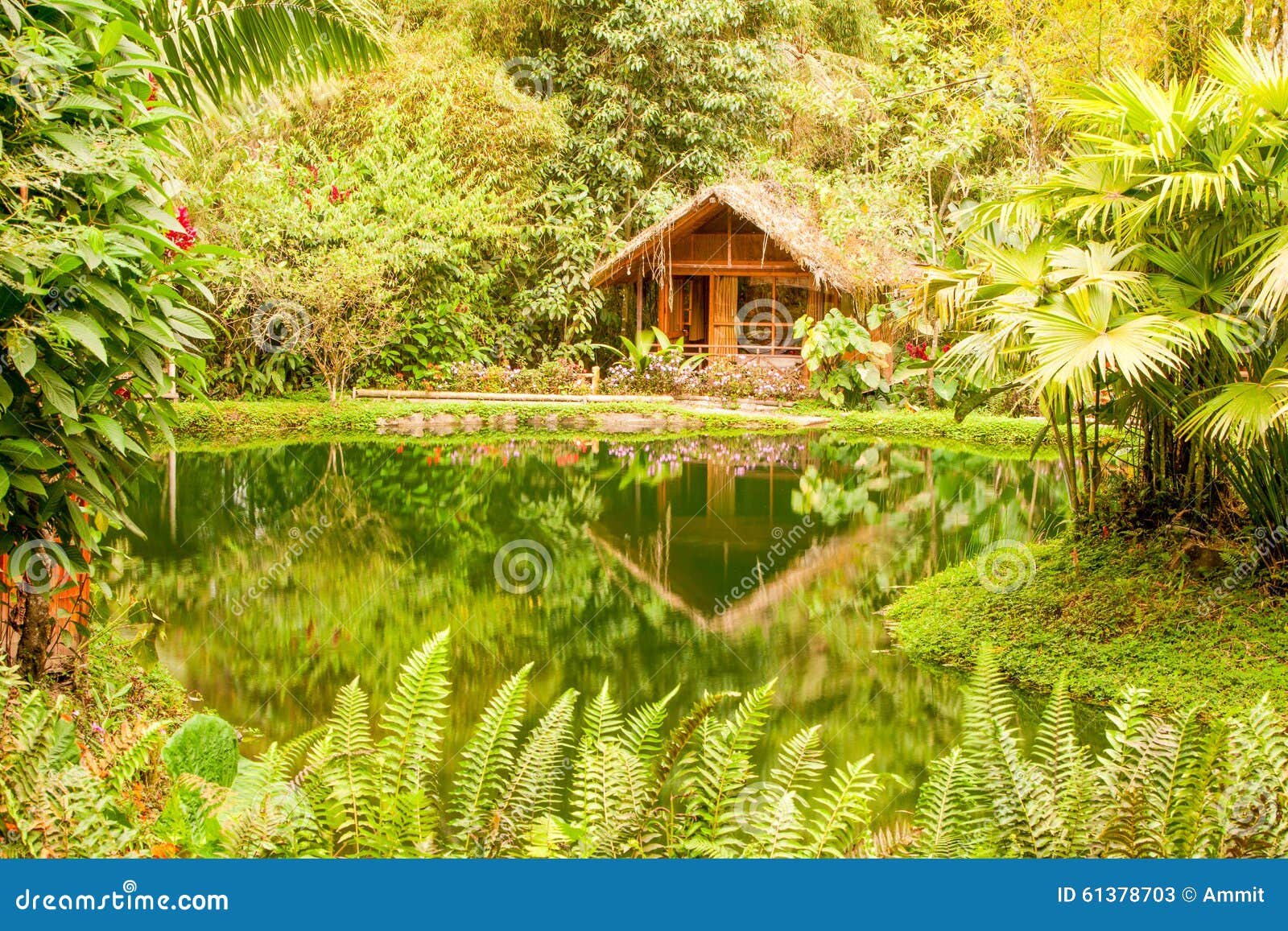 Luxurious Exotic Hut in Amazon Basin Ecuador Stock Image - Image of ...