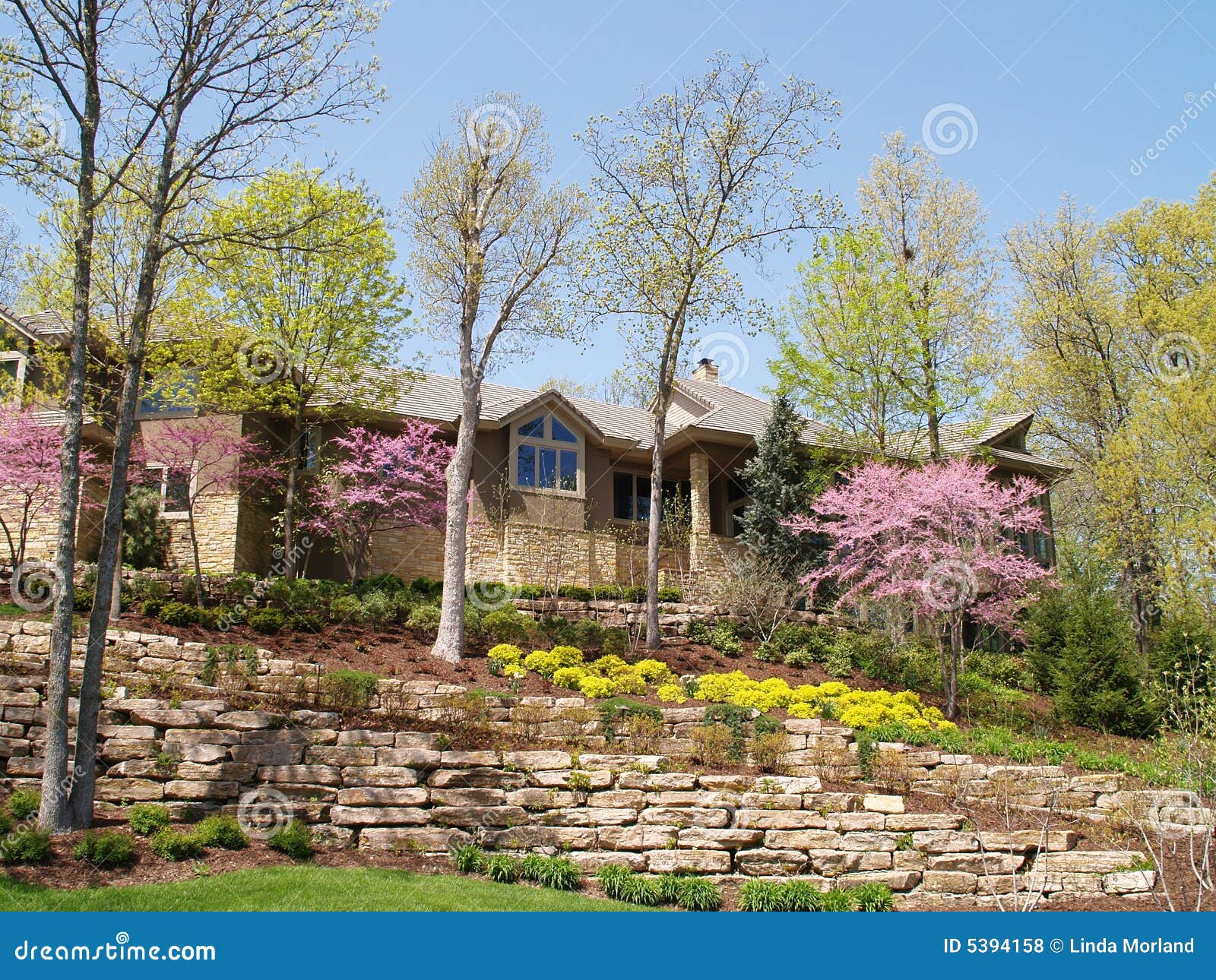 Luxurious Home in Springtime Stock Photo - Image of scenery, flora: 5394158